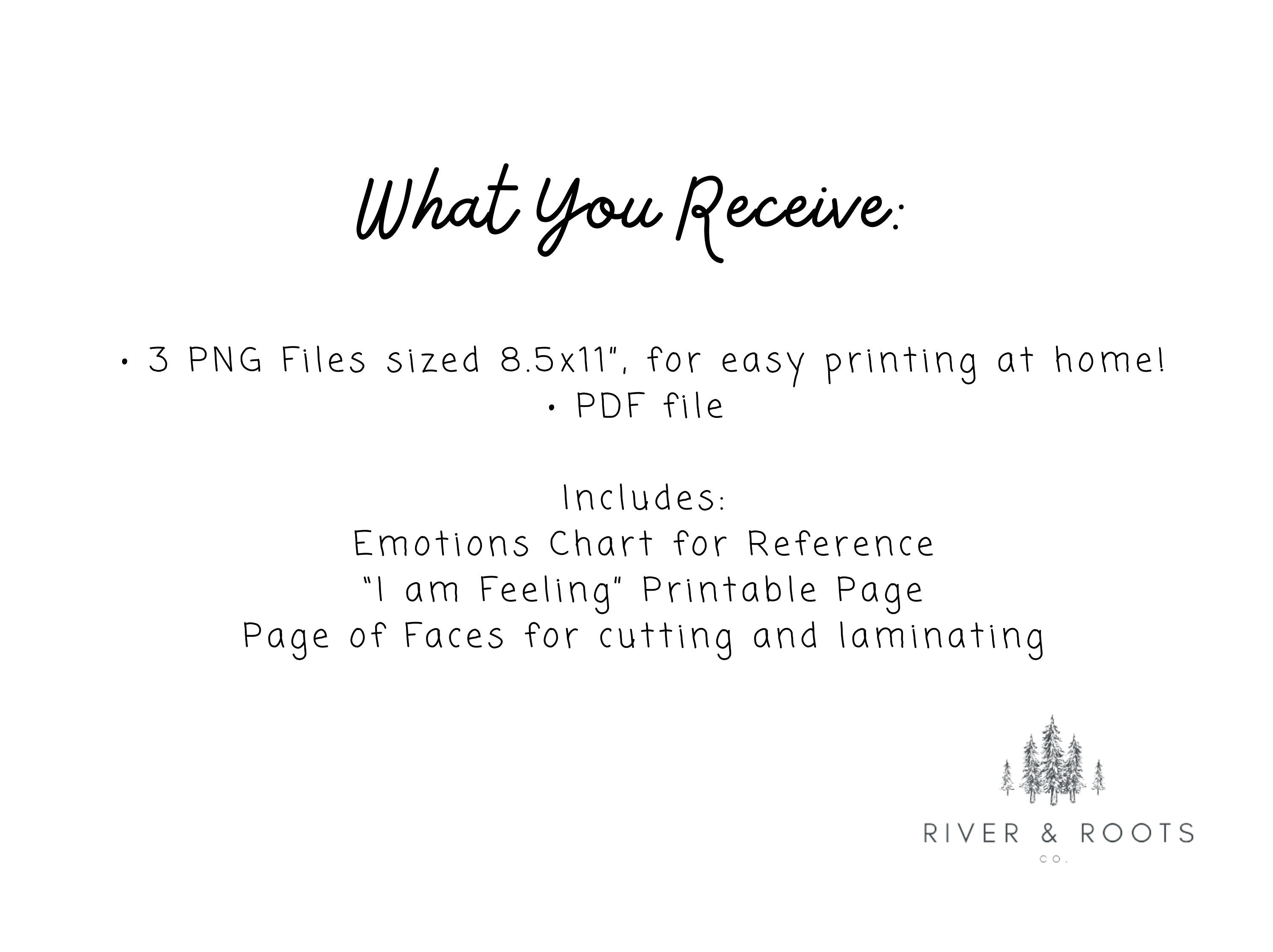 Emotions Chart, Interactive, Printable, Daily Feelings Chart, Colorful ...