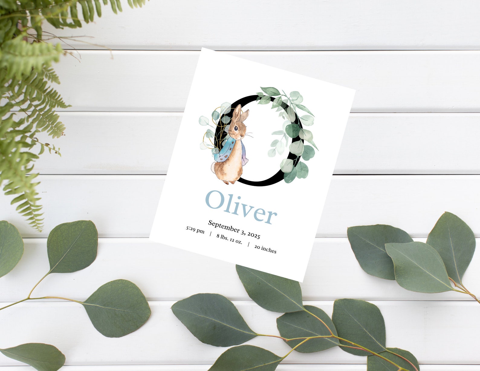Peter Rabbit Birth Stats Keepsake, Birth Details Sign, Announcement ...
