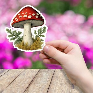 Vintage Mushroom Sticker Sheet 4 Unique Designs for Crafts ...