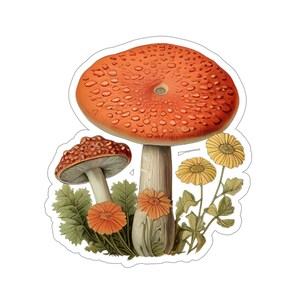 Vintage Mushroom Sticker Sheet 4 Unique Designs for Crafts ...