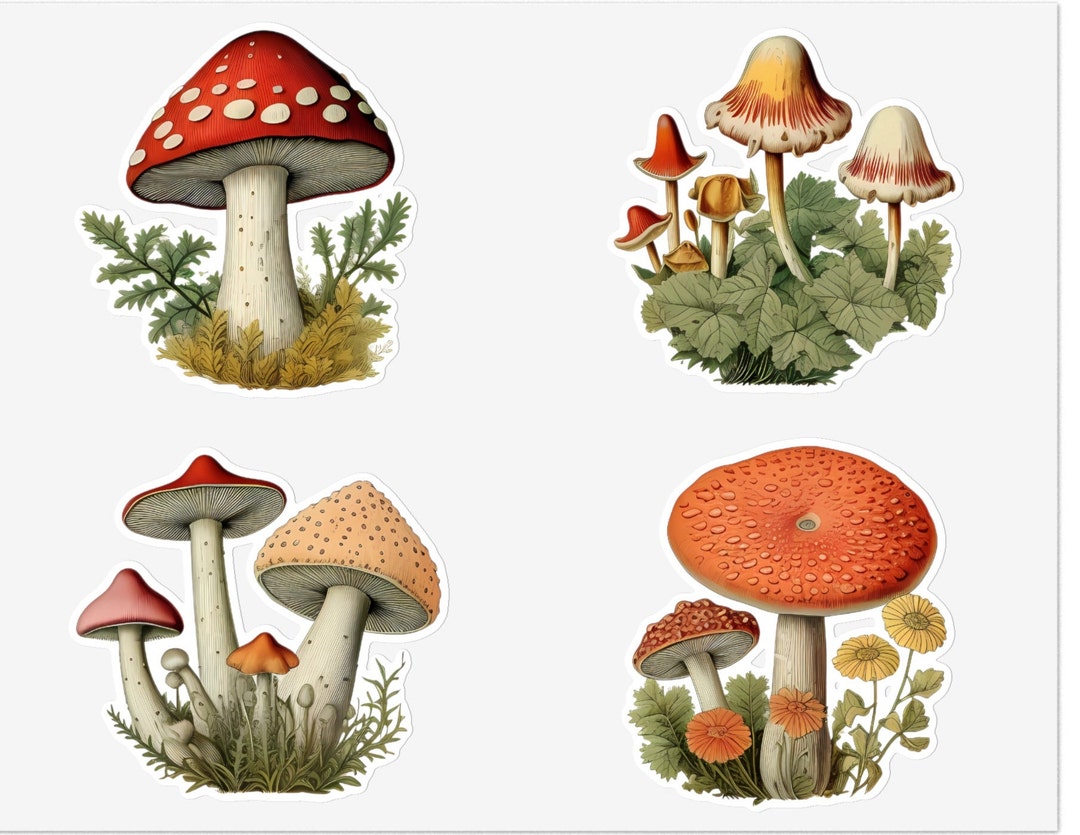 Vintage Mushroom Sticker Sheet 4 Unique Designs for Crafts ...