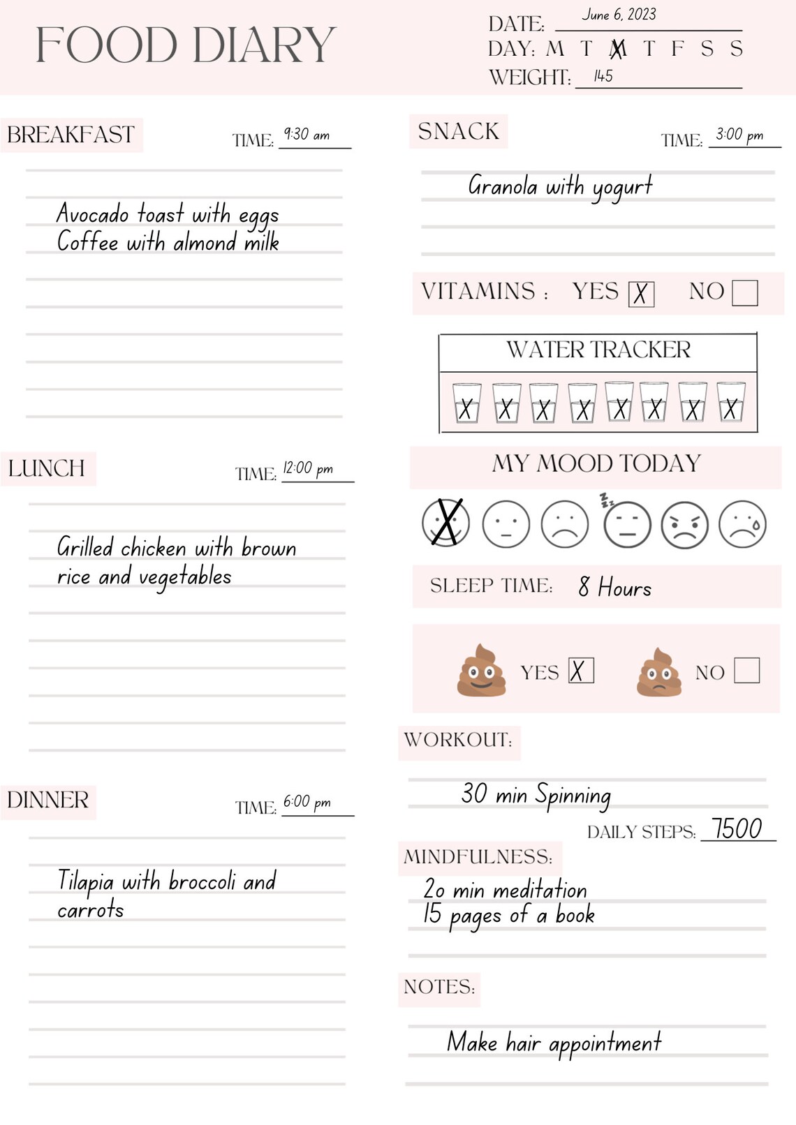 Daily Food Diary - Etsy