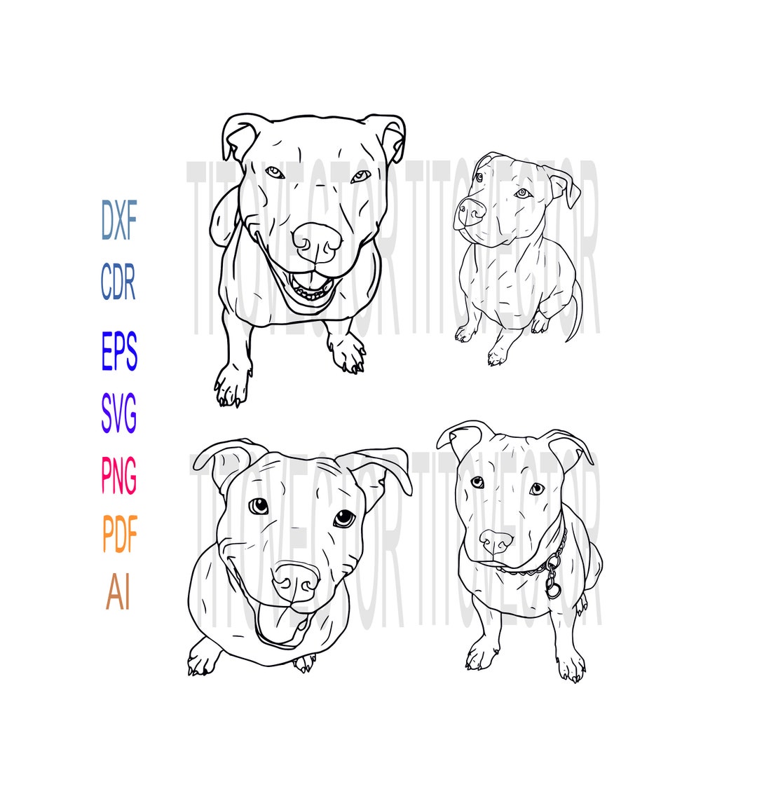 Pitbull Dog SVG Cut File: Vector Graphics (digital Files) - Etsy