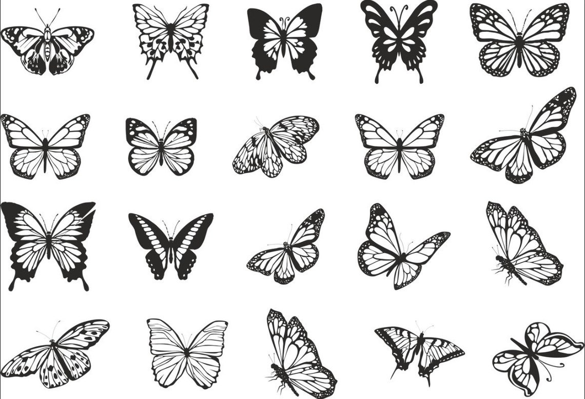 Butterfly Cut File Digital Vector Svg Png Butterfly Svg Files - Etsy