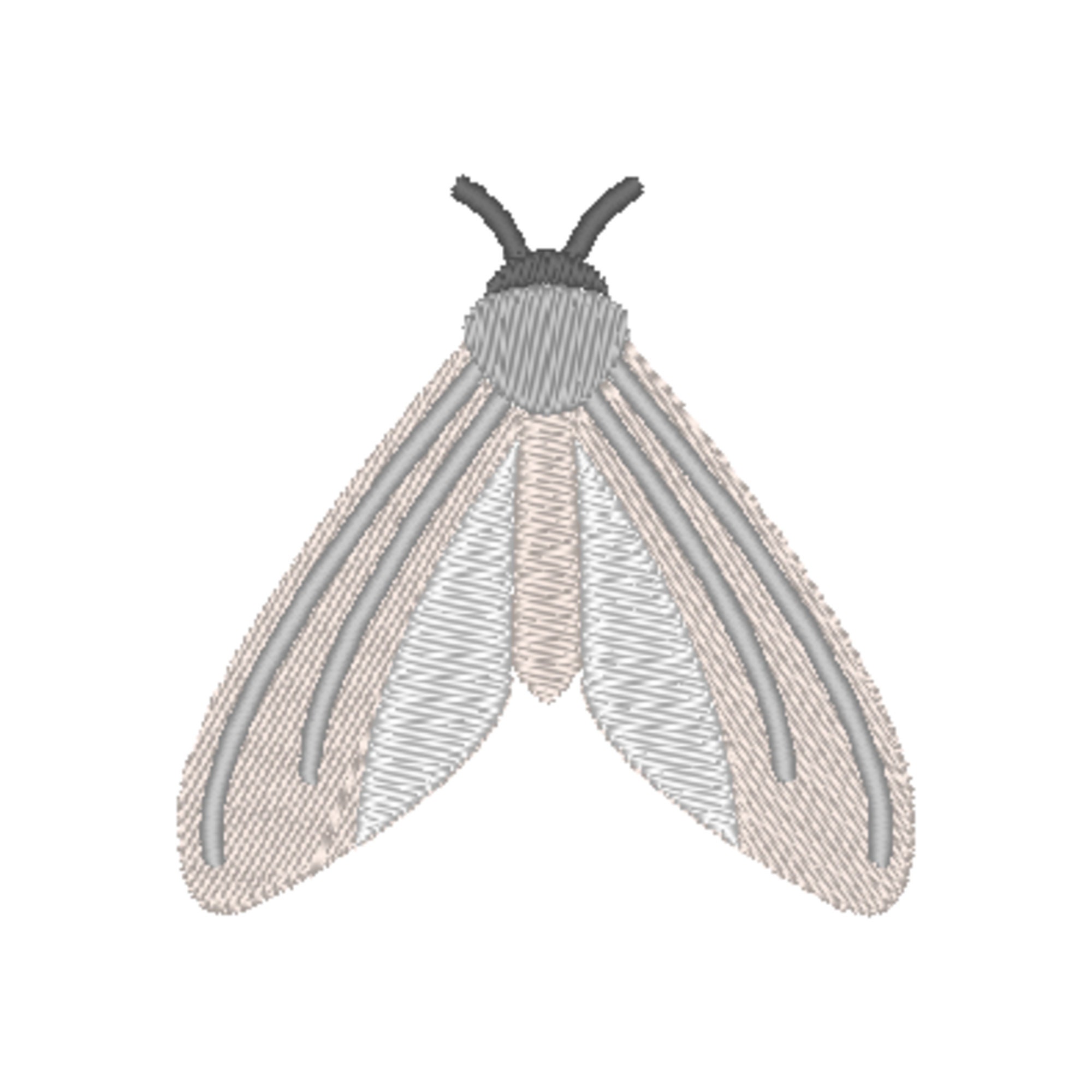 Insect Machine Embroidery Design, 6 Different Designs by 3 Sizes, 11 ...