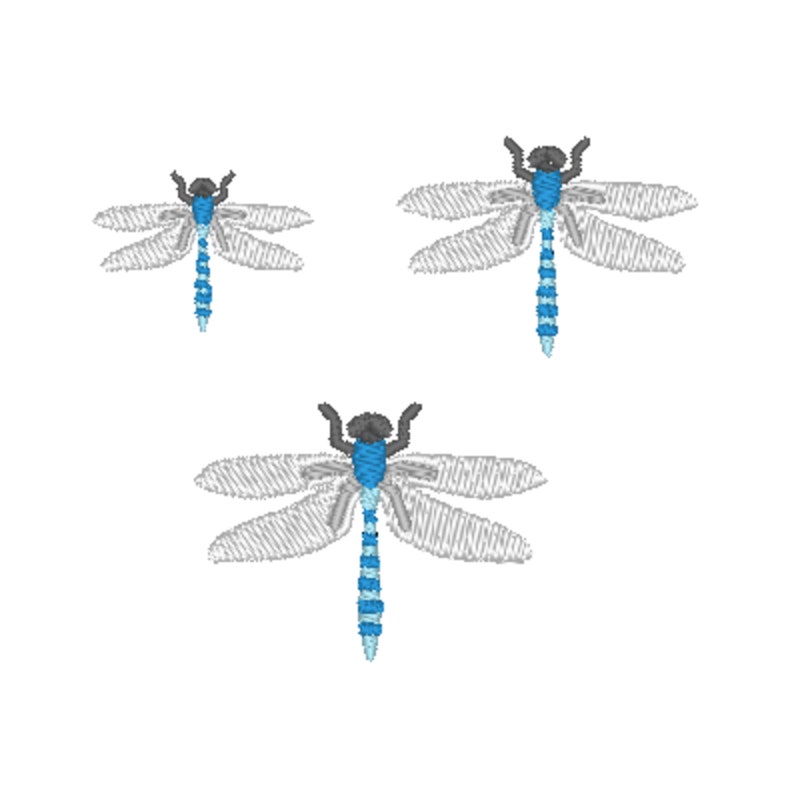 Insect Machine Embroidery Design 6 Different Designs by 3 - Etsy