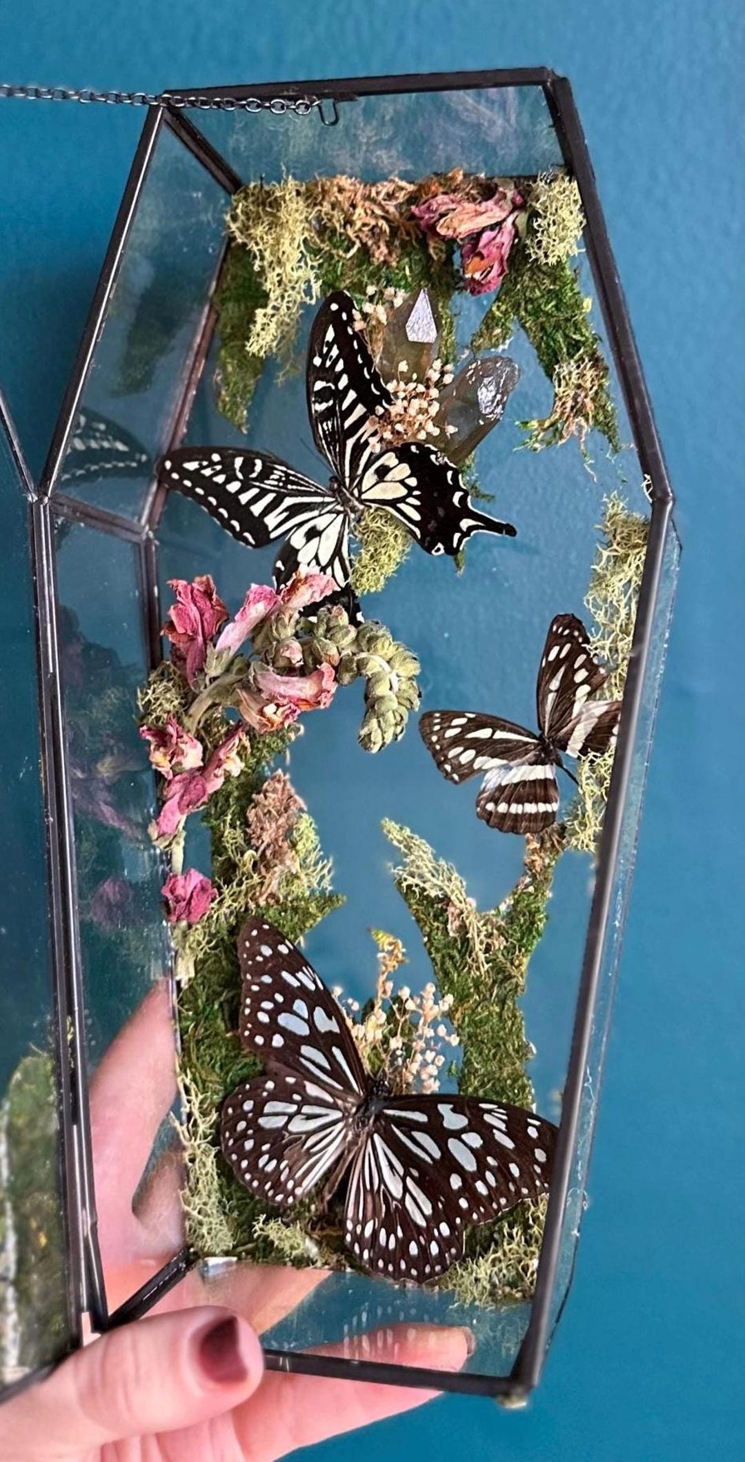 Glass Coffin Terrarium With Butterflies, Dried Florals and Smokey ...