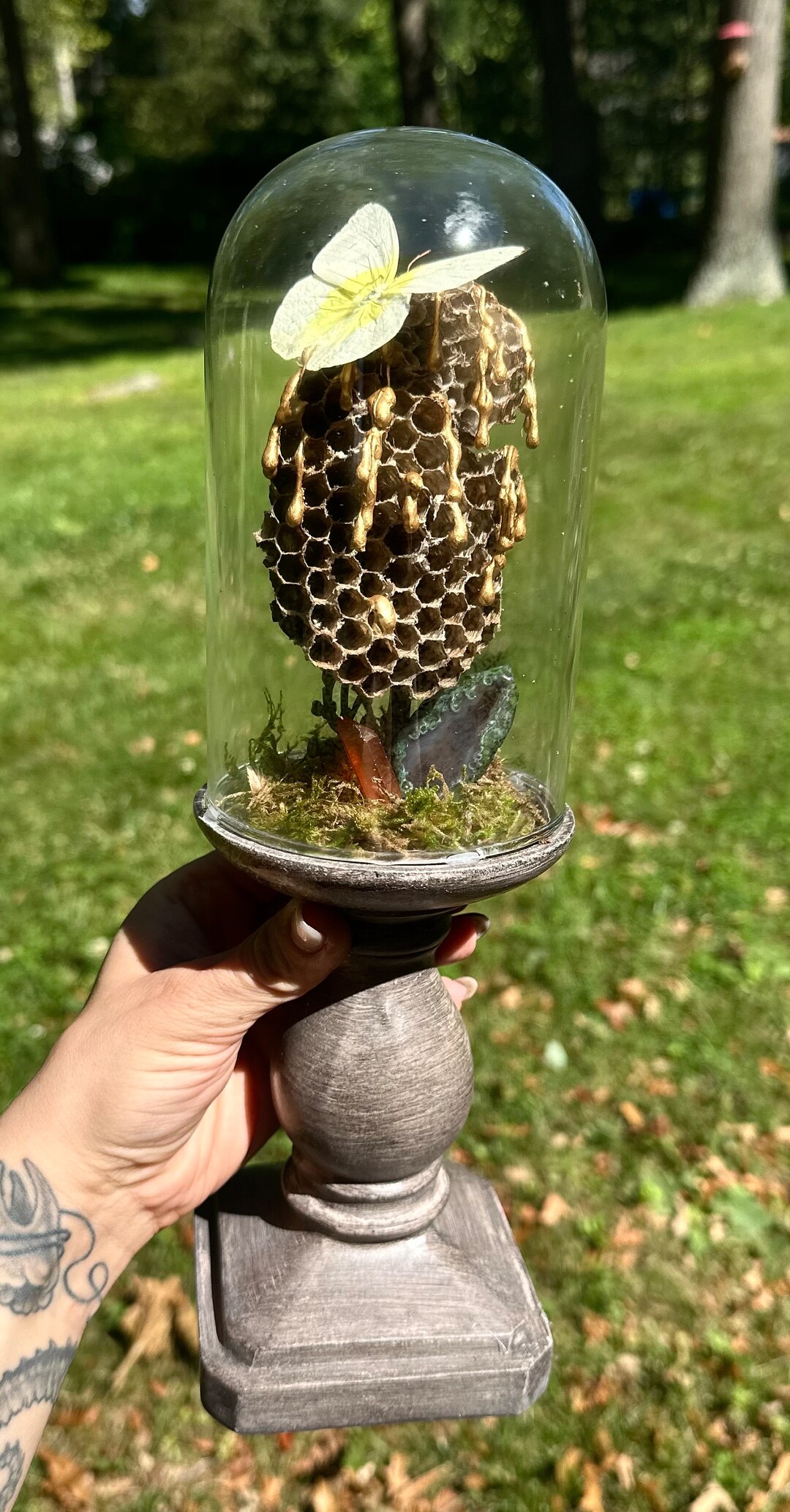 Preserved Wasp Nest With Butterfly and Gems - Etsy