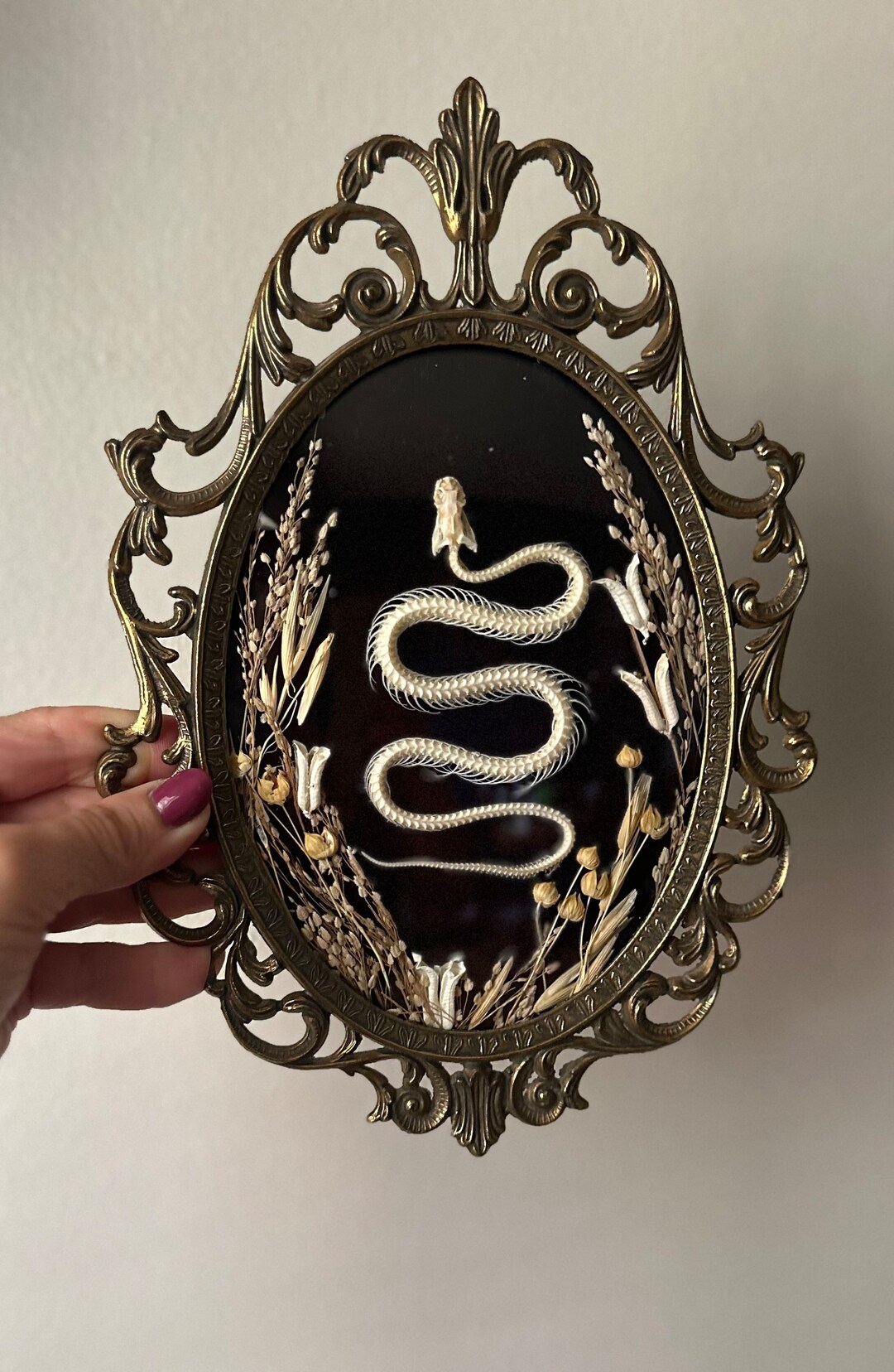 Articulated Snake Skeleton in Vintage Brass Frame With Florals - Etsy