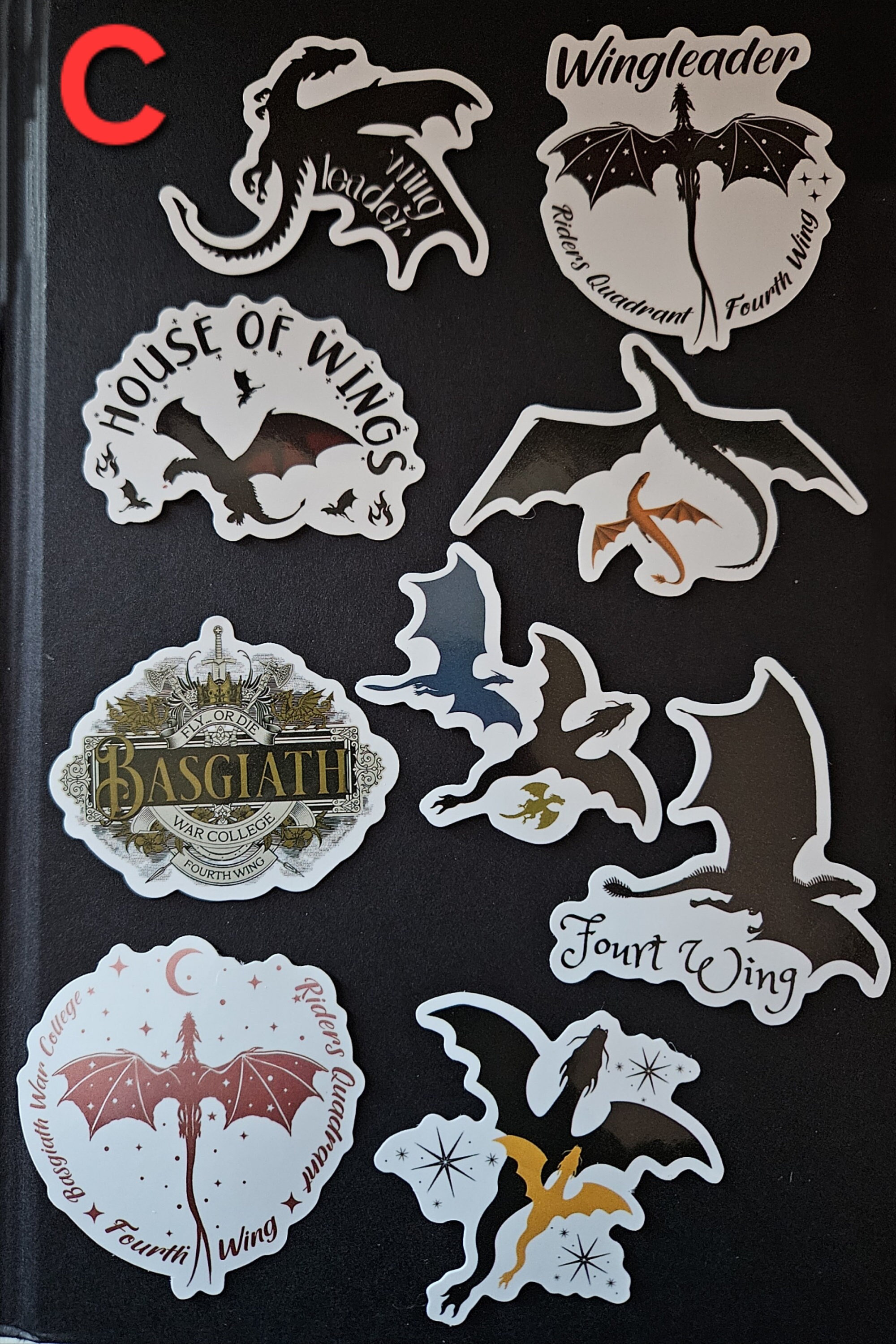 Fourth Wing Stickers - Etsy