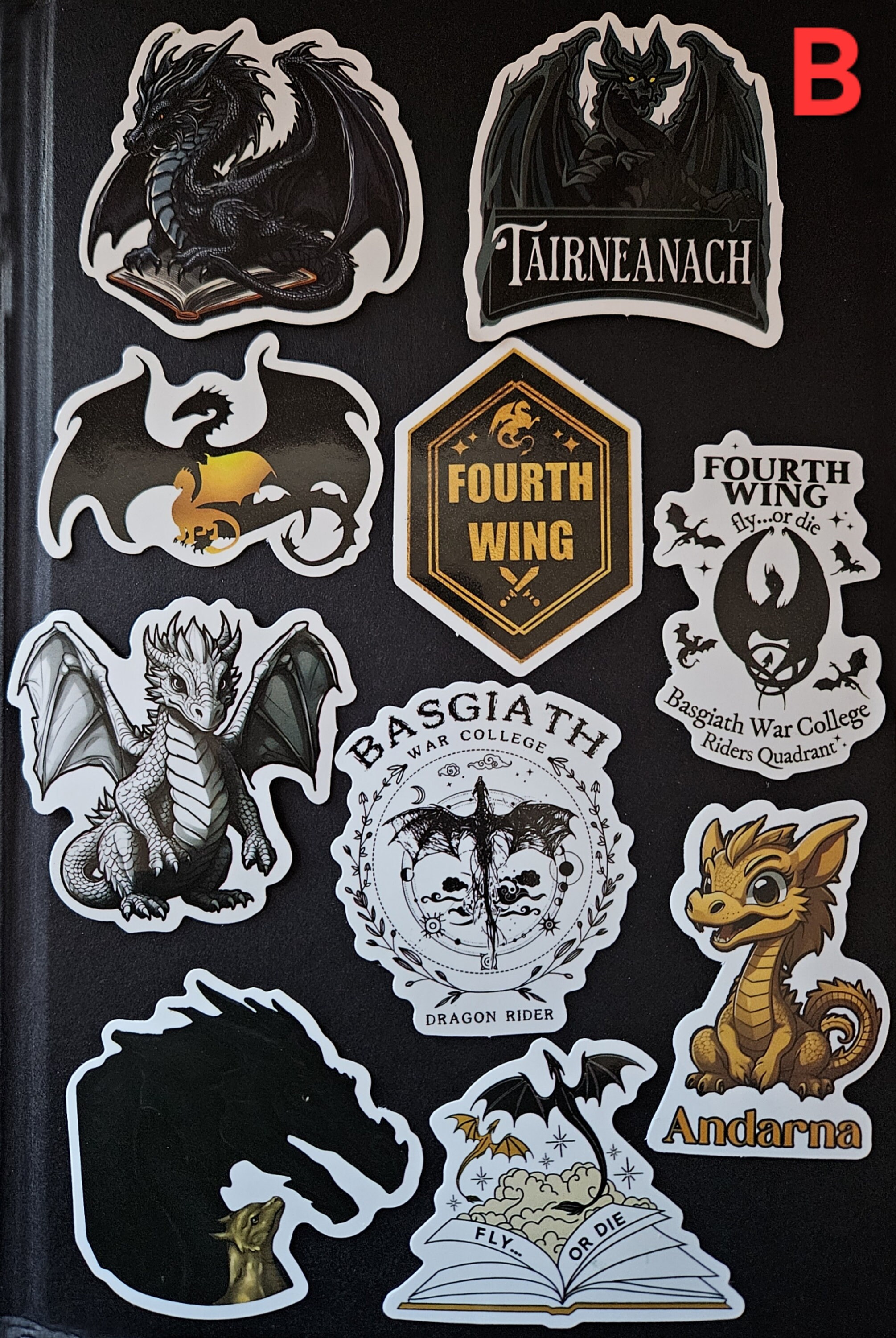 Fourth Wing Stickers - Etsy