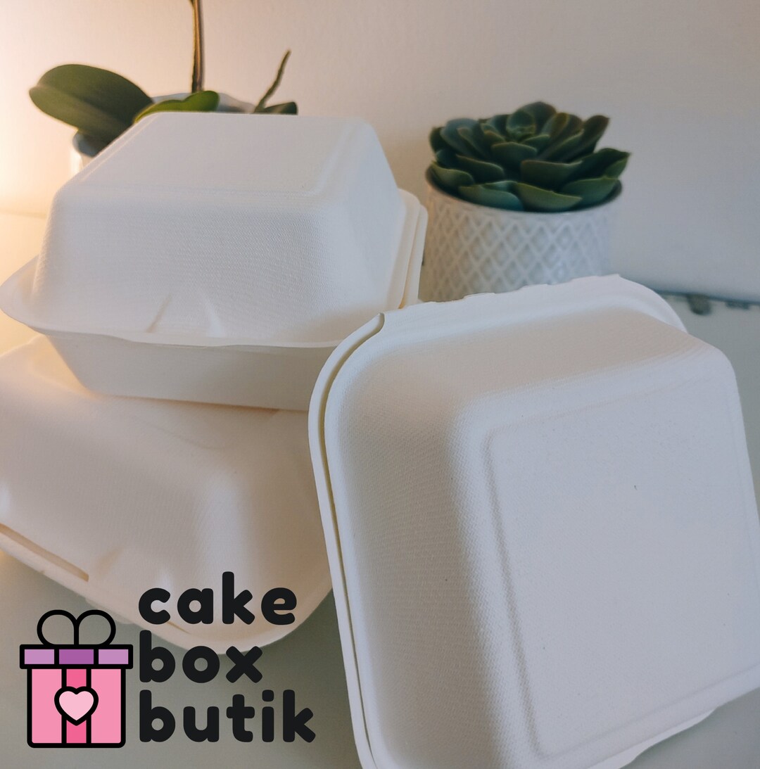 Bento Cake Hinged Lid Containers - 100% Sustainable - Etsy