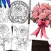 Rose Flower Coloring Pages – 40 Printable Floral Designs (digital ...