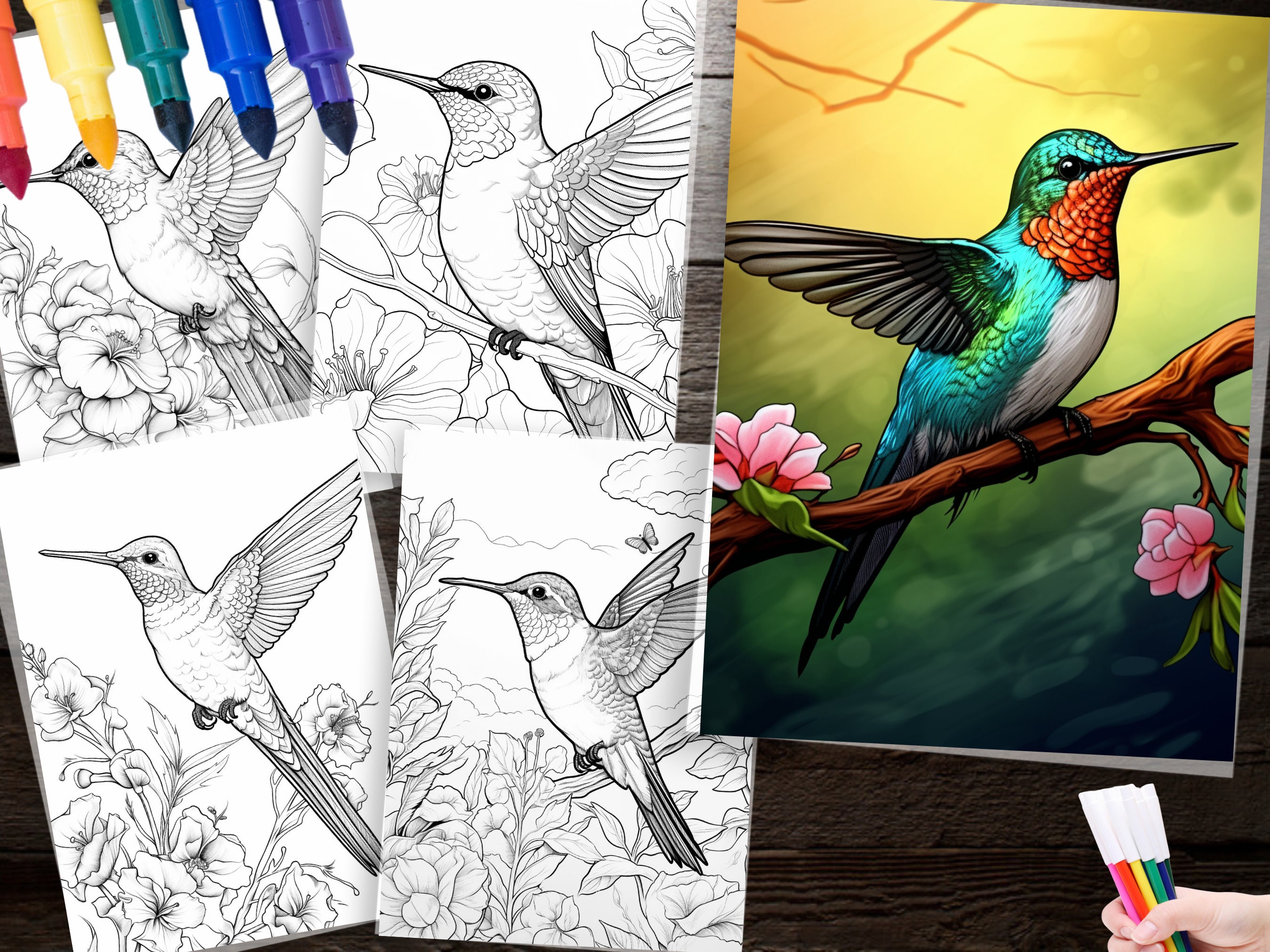 300 Beautiful Hummingbird Coloring Pages Relaxing Designs for Mindful ...