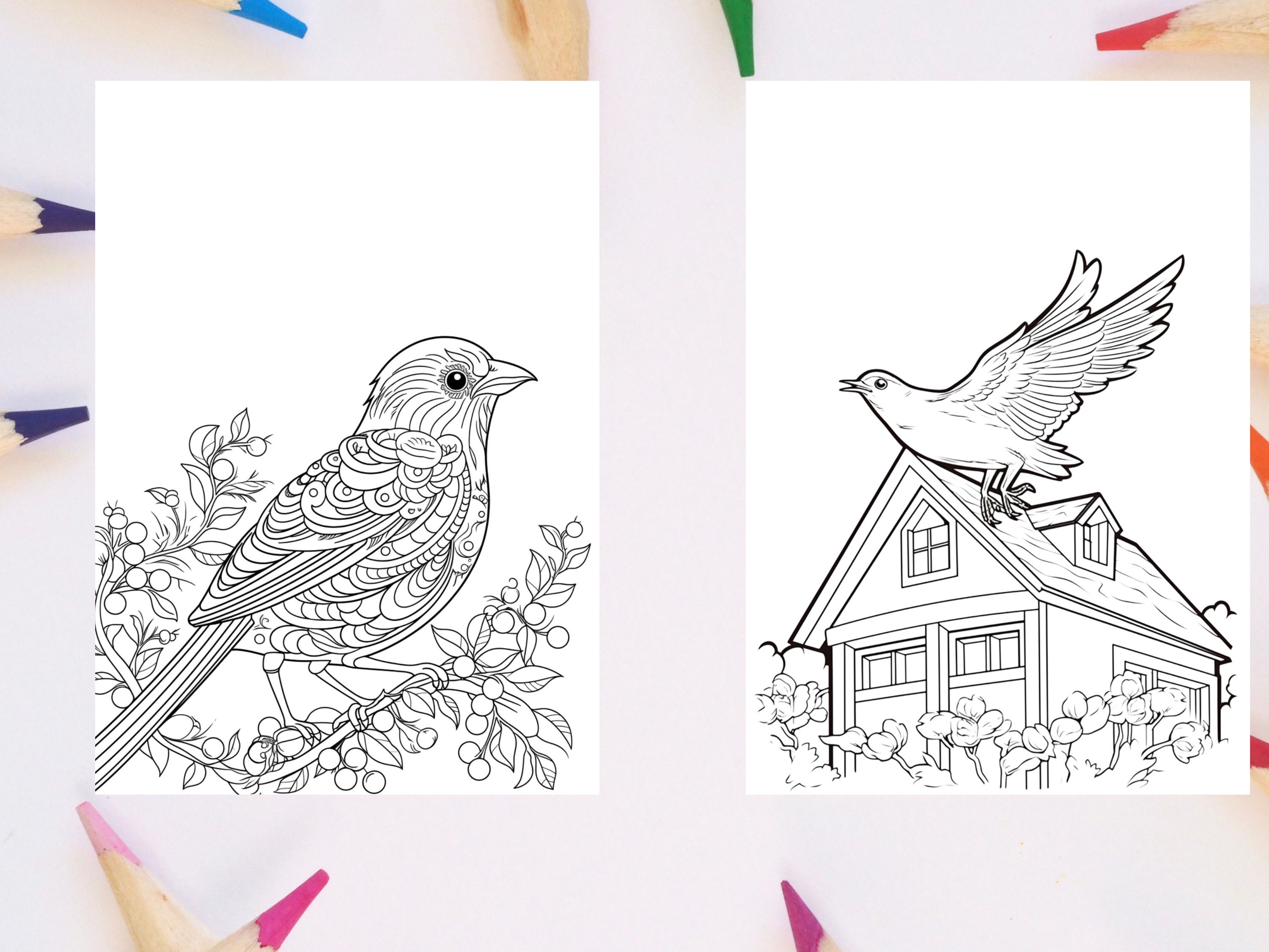 50 Bird Coloring Pages for Learning and Imaginative Fun, Abstract and ...