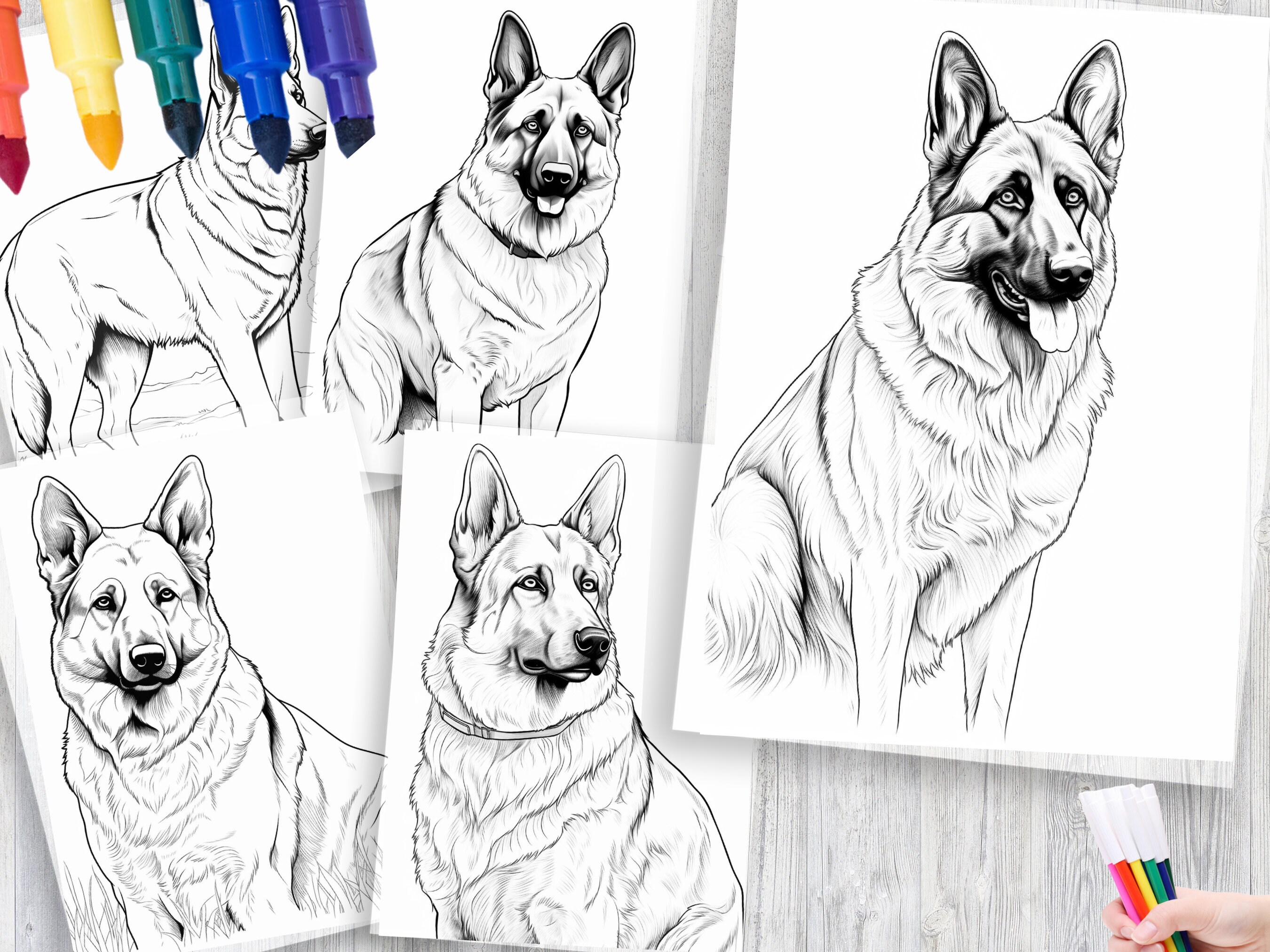 180 Realistic Dog Coloring Pages – Detailed Breeds (PDF Download) - Etsy