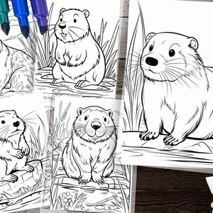 50 Prairie Vole Coloring Page Printable - Cute Rodent Illustration ...