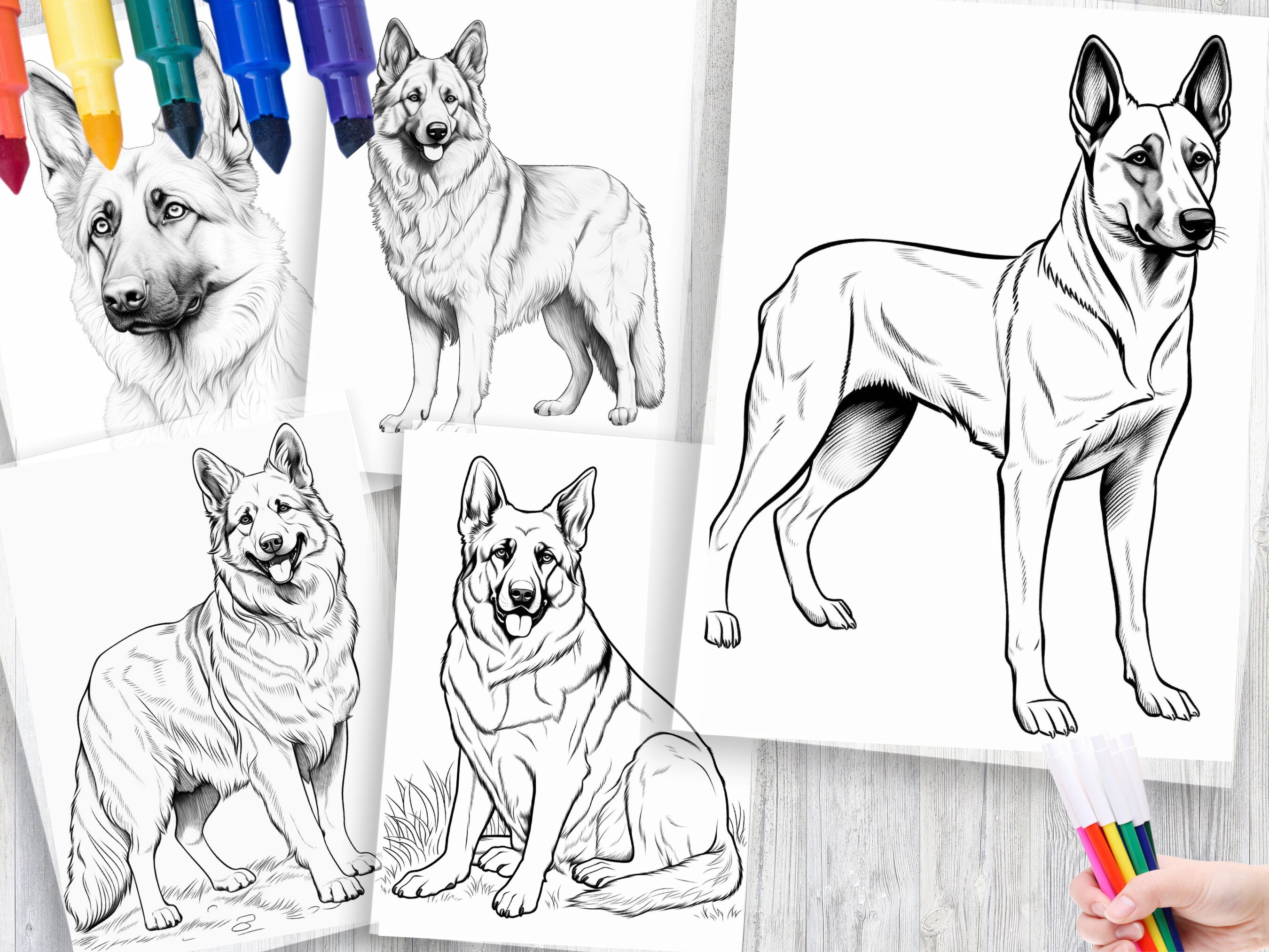 180 Realistic Dog Coloring Pages Perfect for Dog Lovers and Art ...