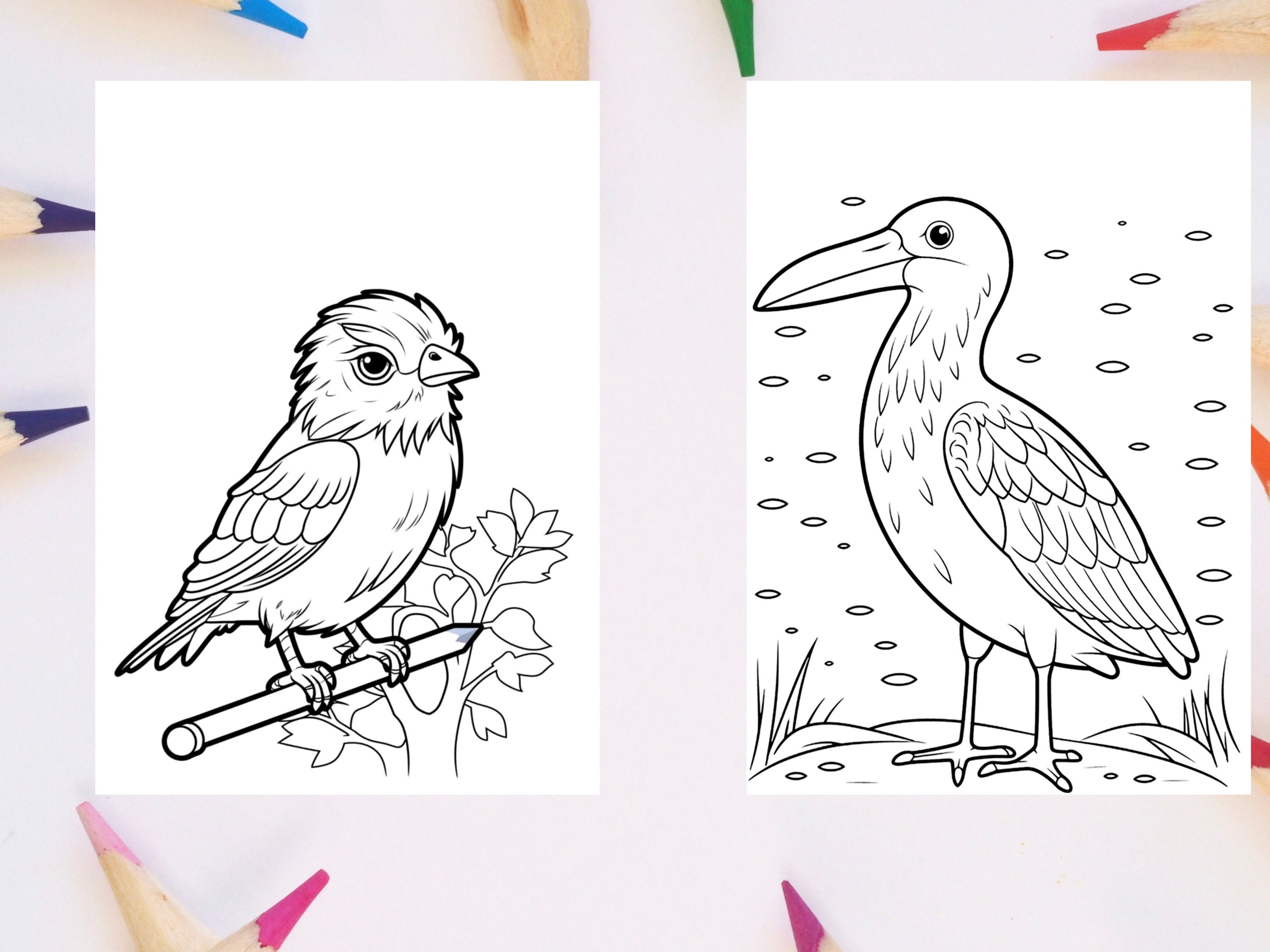 50 Bird Coloring Pages for Learning and Imaginative Fun, Abstract and ...