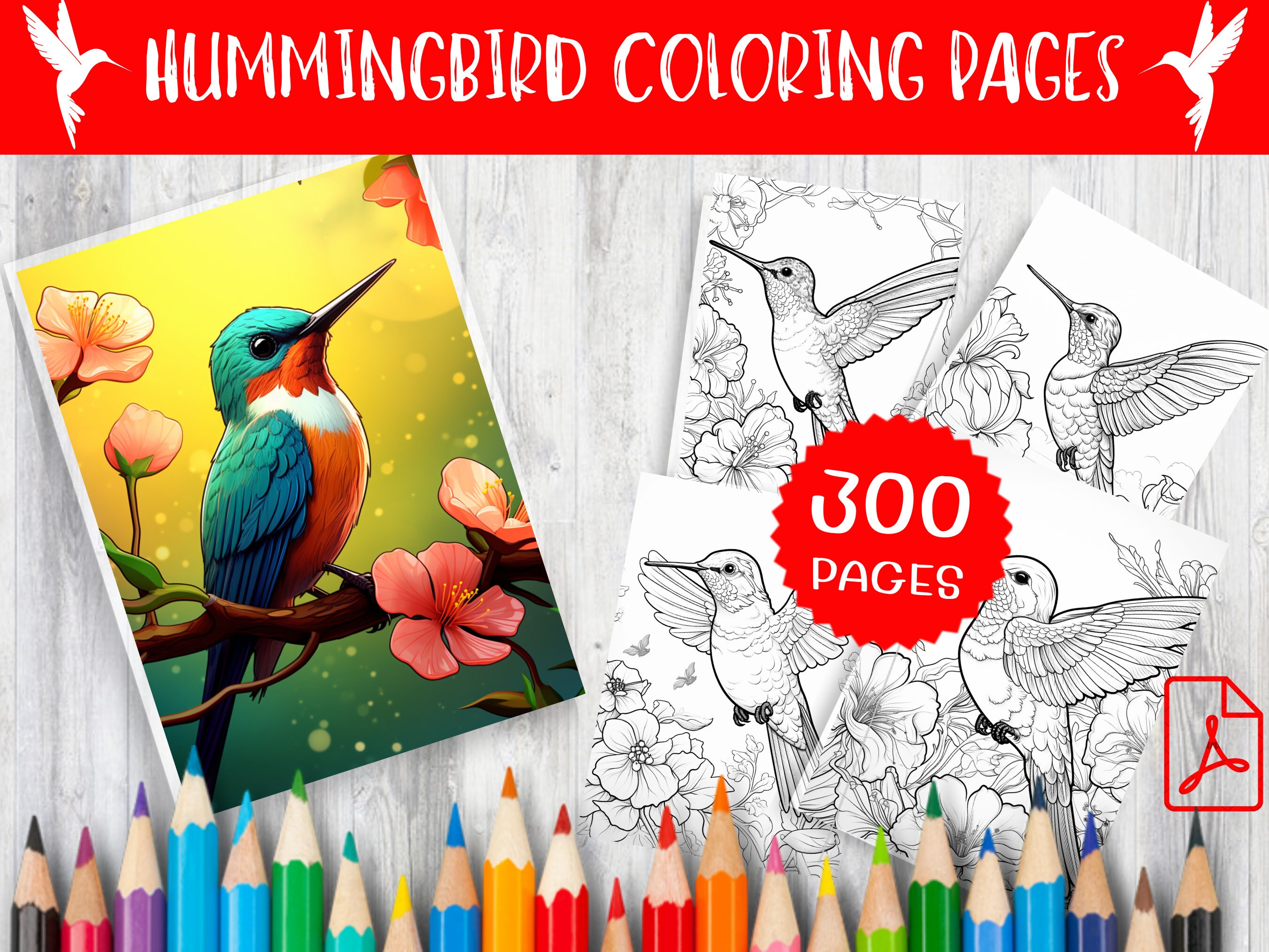 300 Beautiful Hummingbird Coloring Pages Relaxing Designs for Mindful ...