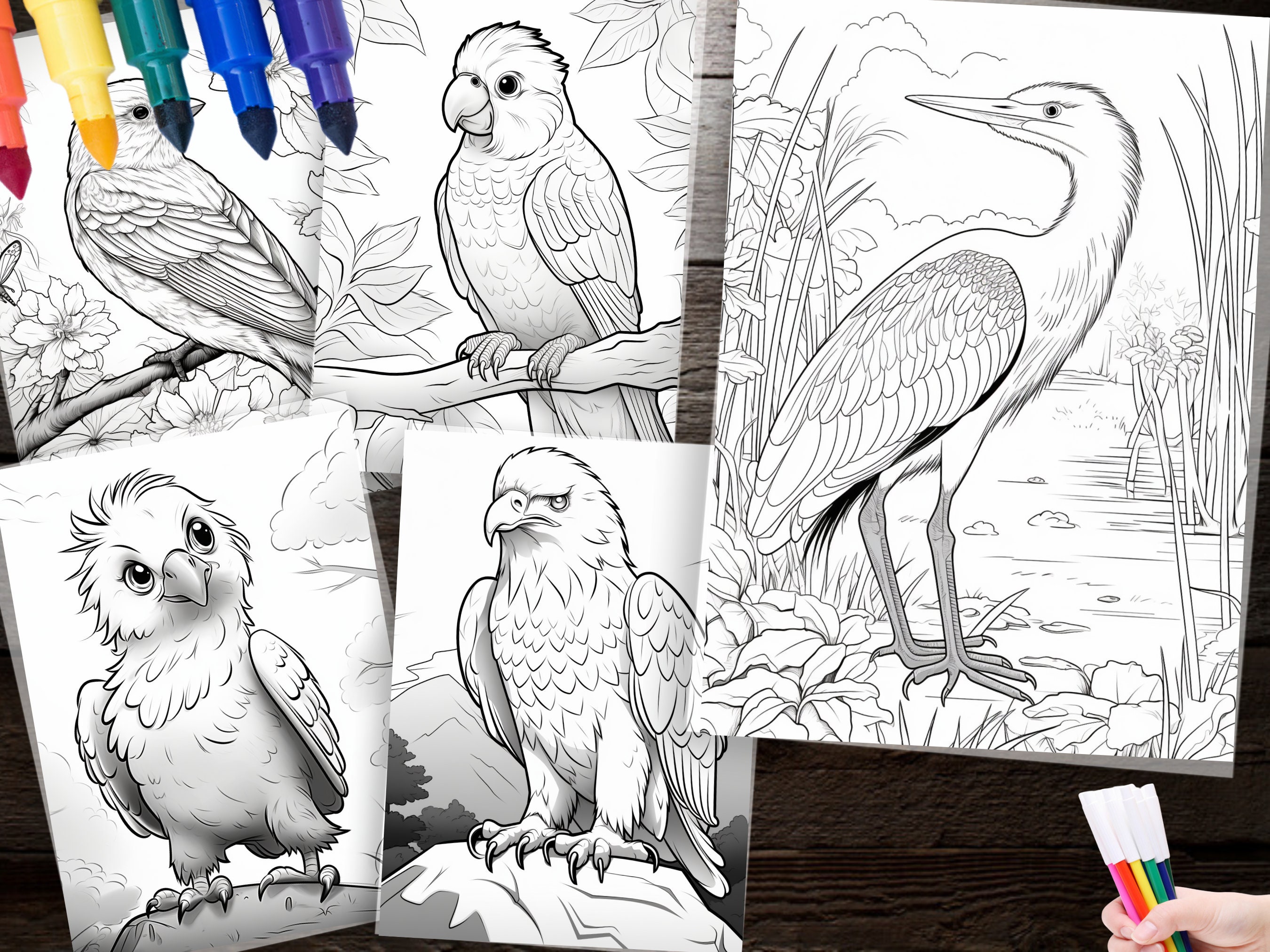 37 Beautiful Bird Coloring Pages Delightful Designs for Relaxation ...