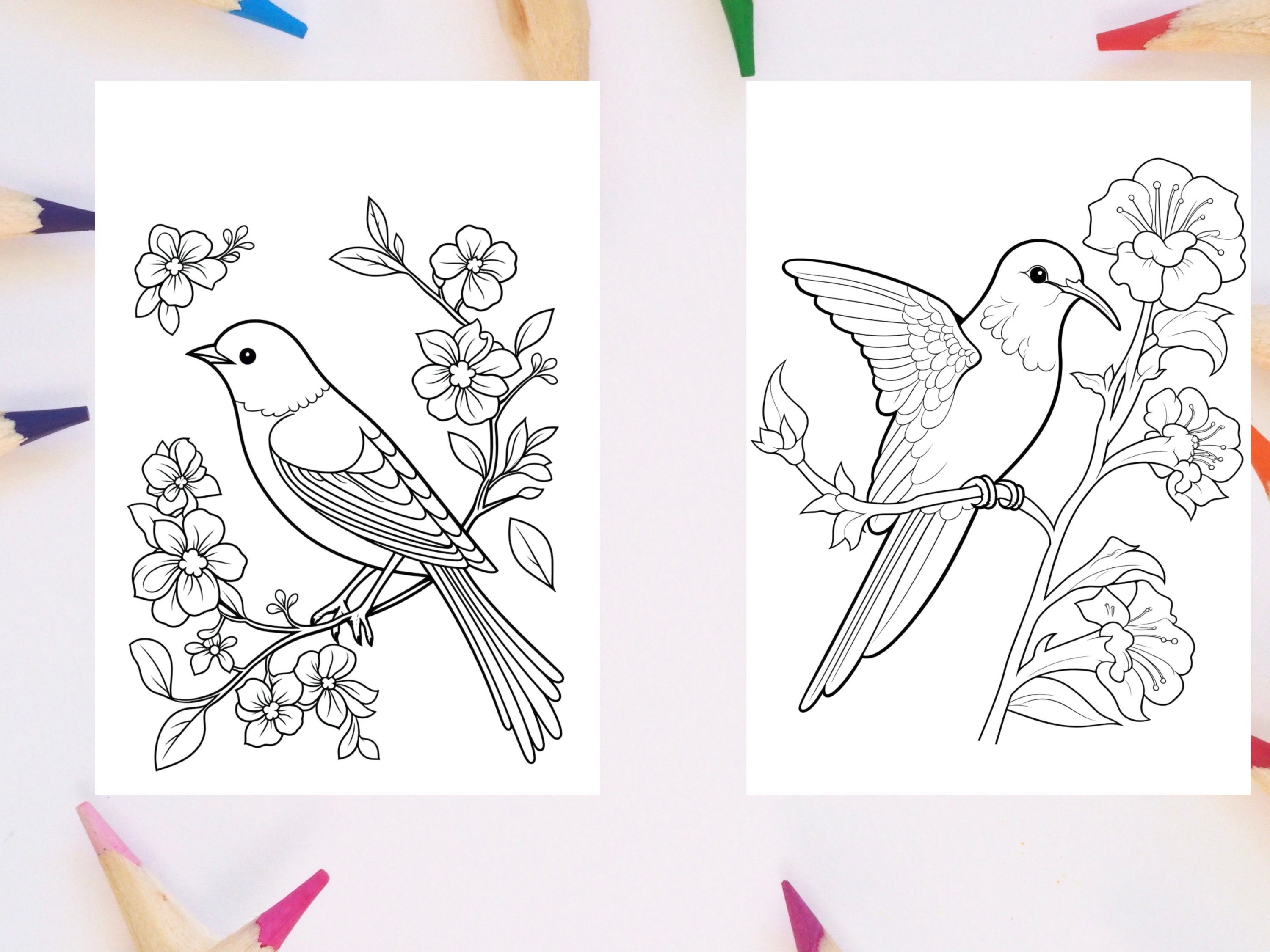 50 Bird Coloring Pages for Learning and Imaginative Fun, Abstract and ...