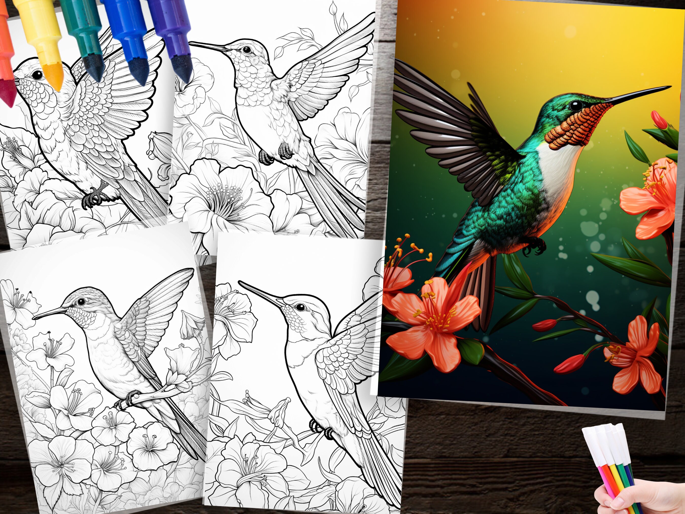 300 Beautiful Hummingbird Coloring Pages Relaxing Designs for Mindful ...