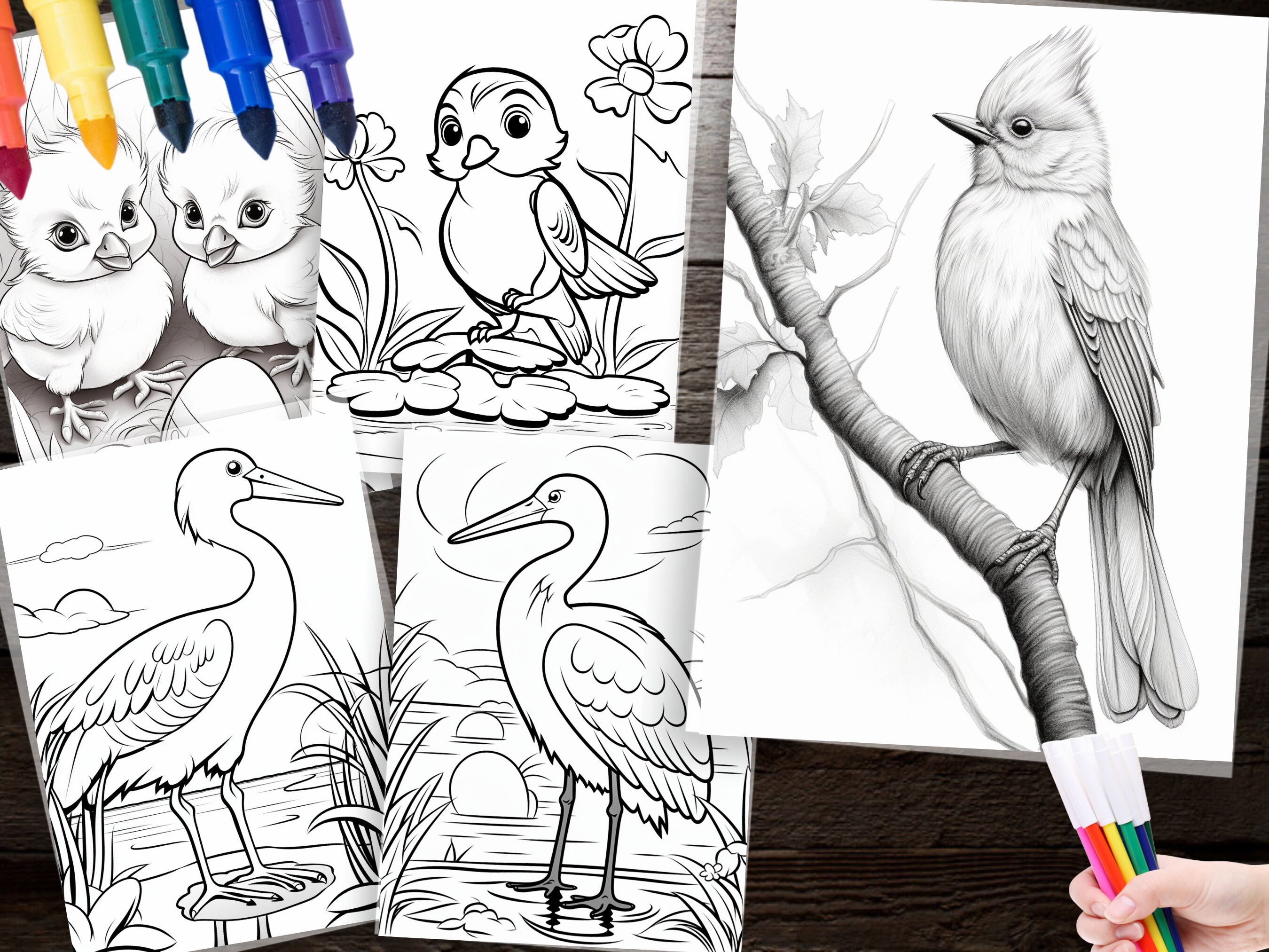 37 Beautiful Bird Coloring Pages - Delightful Designs for Relaxation ...