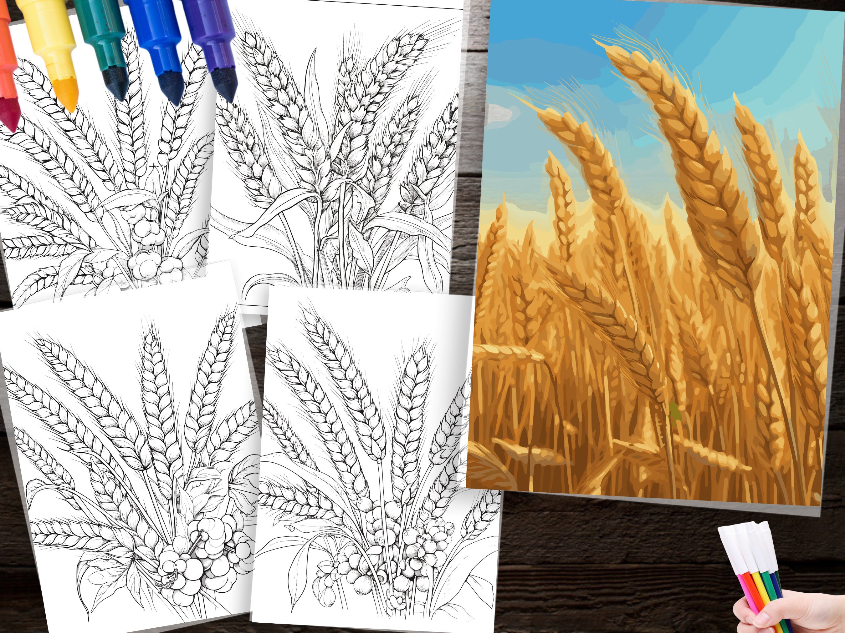 Wheat Field Coloring Pages - 110 Khet Botanical Illustrations (PDF ...