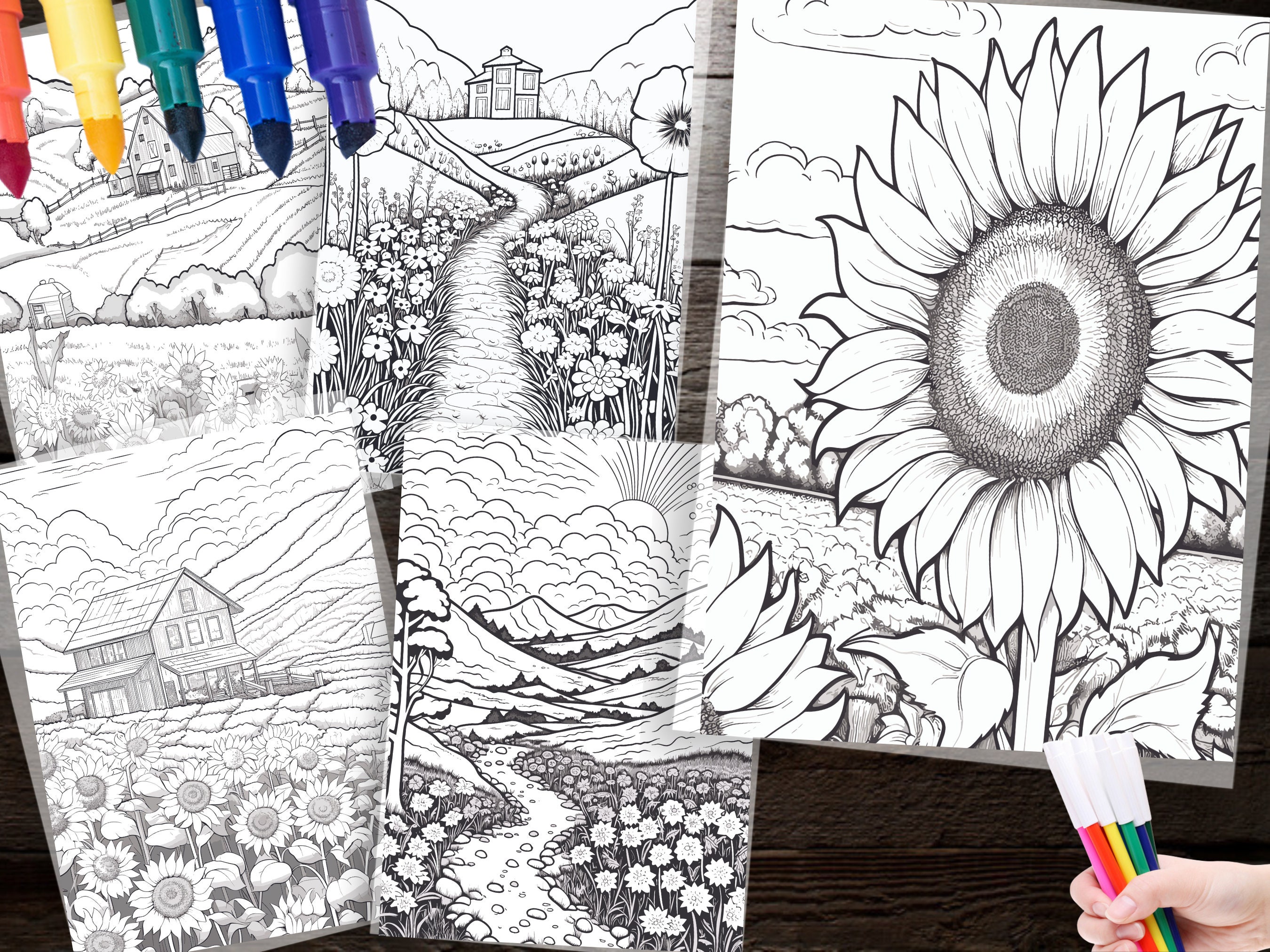 100 Sunflower Coloring Pages, Floral Designs, Art for Adults & Kids ...