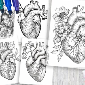 140 Charming Heart Coloring Pages, Relaxation & Creativity Printable ...