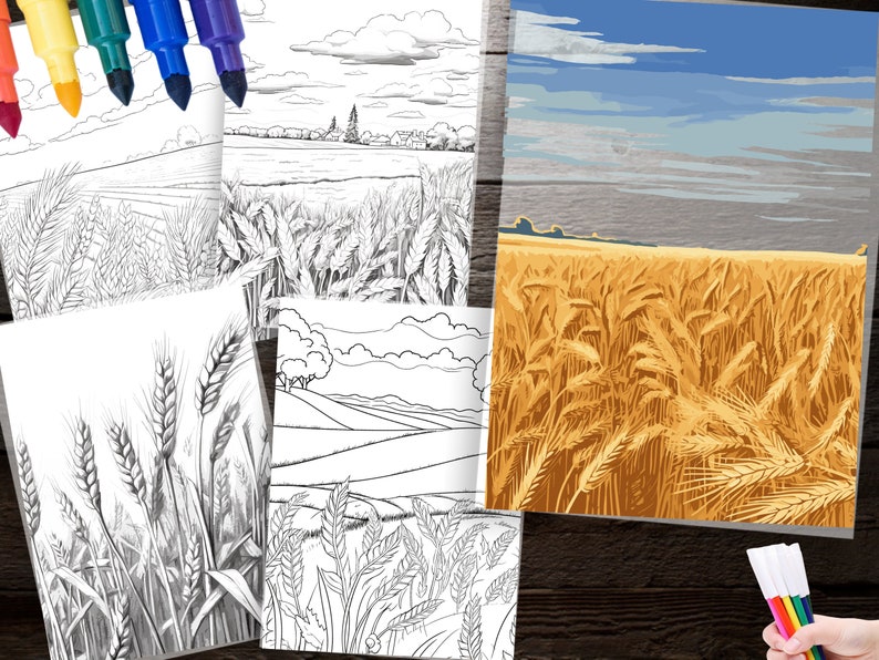 Wheat Field Coloring Pages - 110 Khet Botanical Illustrations (PDF ...