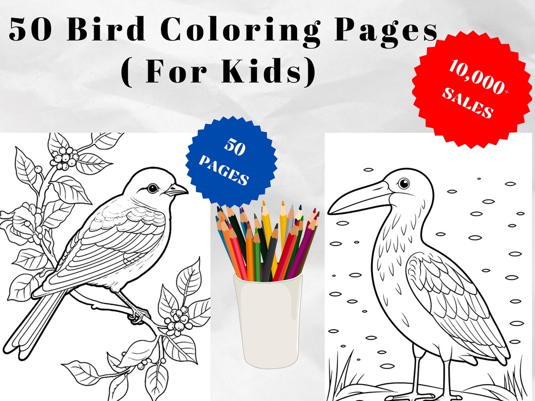 50 Bird Coloring Pages for Learning and Imaginative Fun, Abstract and ...
