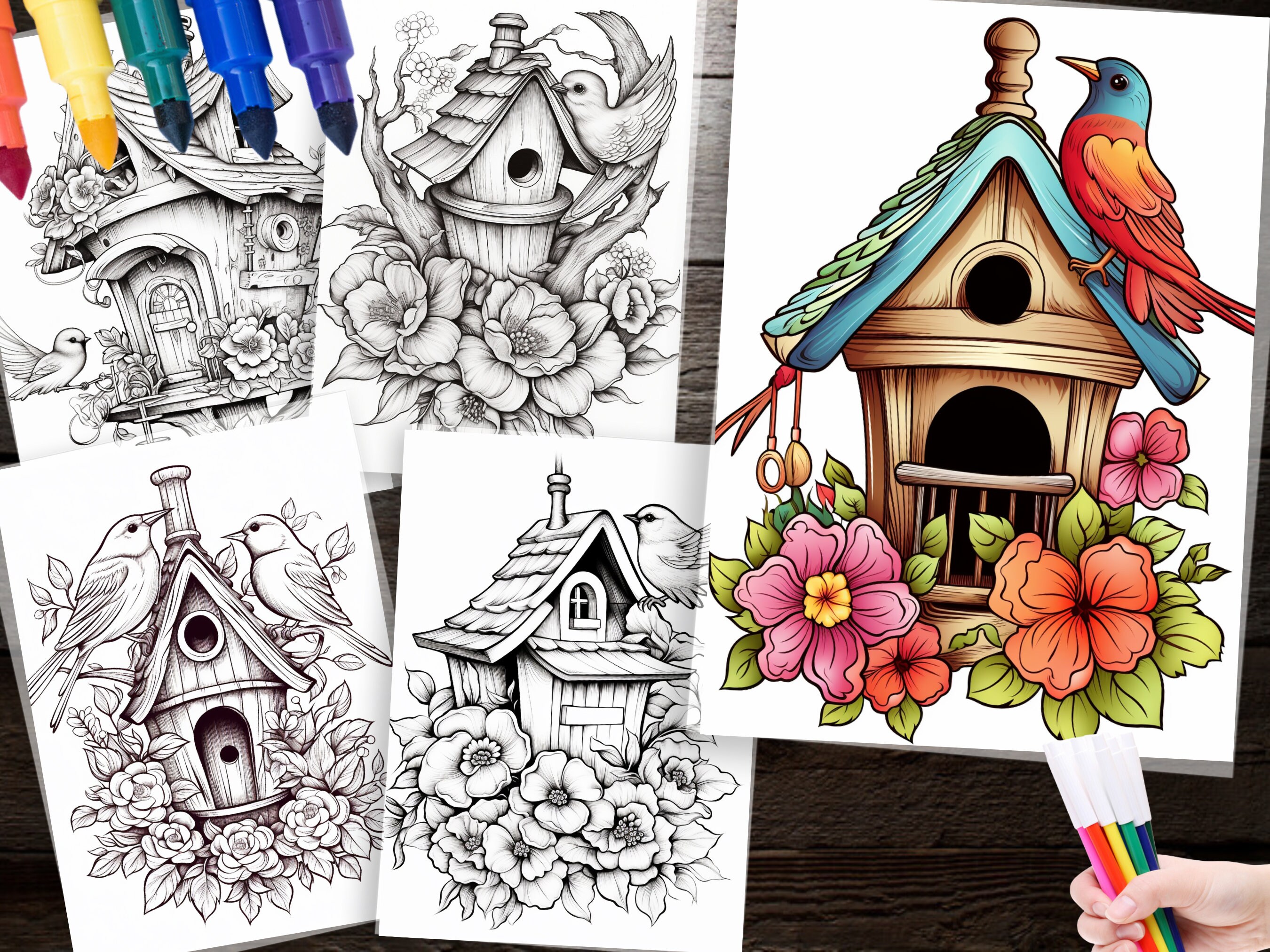 200 Birdhouse Coloring Pages for Relaxation and Creativity Printable ...