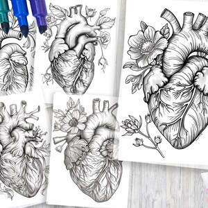 140 Charming Heart Coloring Pages, Relaxation & Creativity Printable ...