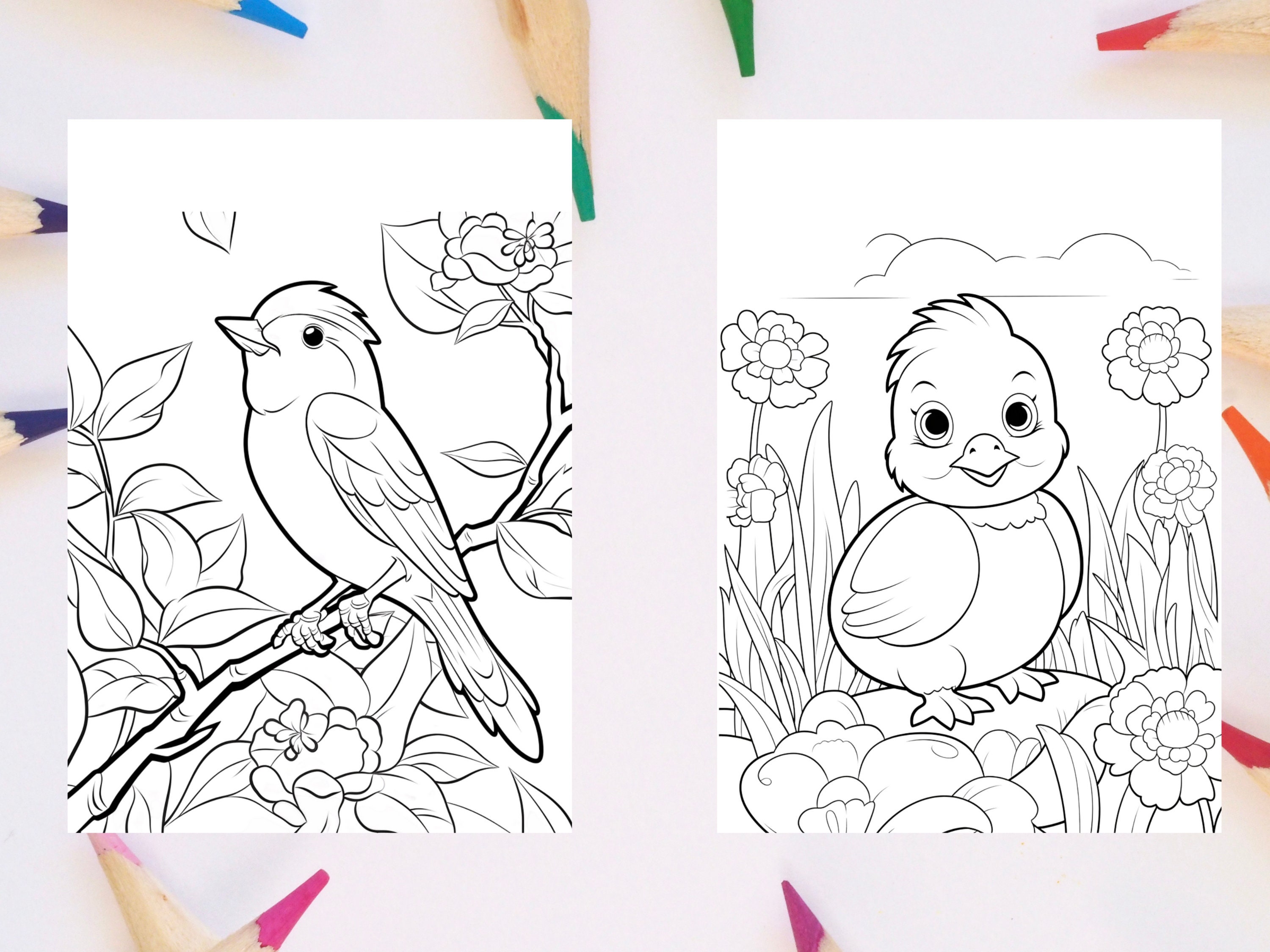 50 Bird Coloring Pages for Learning and Imaginative Fun, Abstract and ...