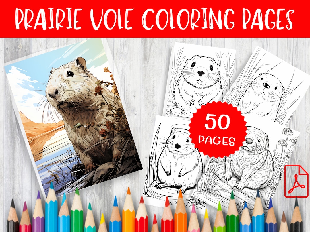 50 Prairie Vole Coloring Page Printable - Cute Rodent Illustration ...
