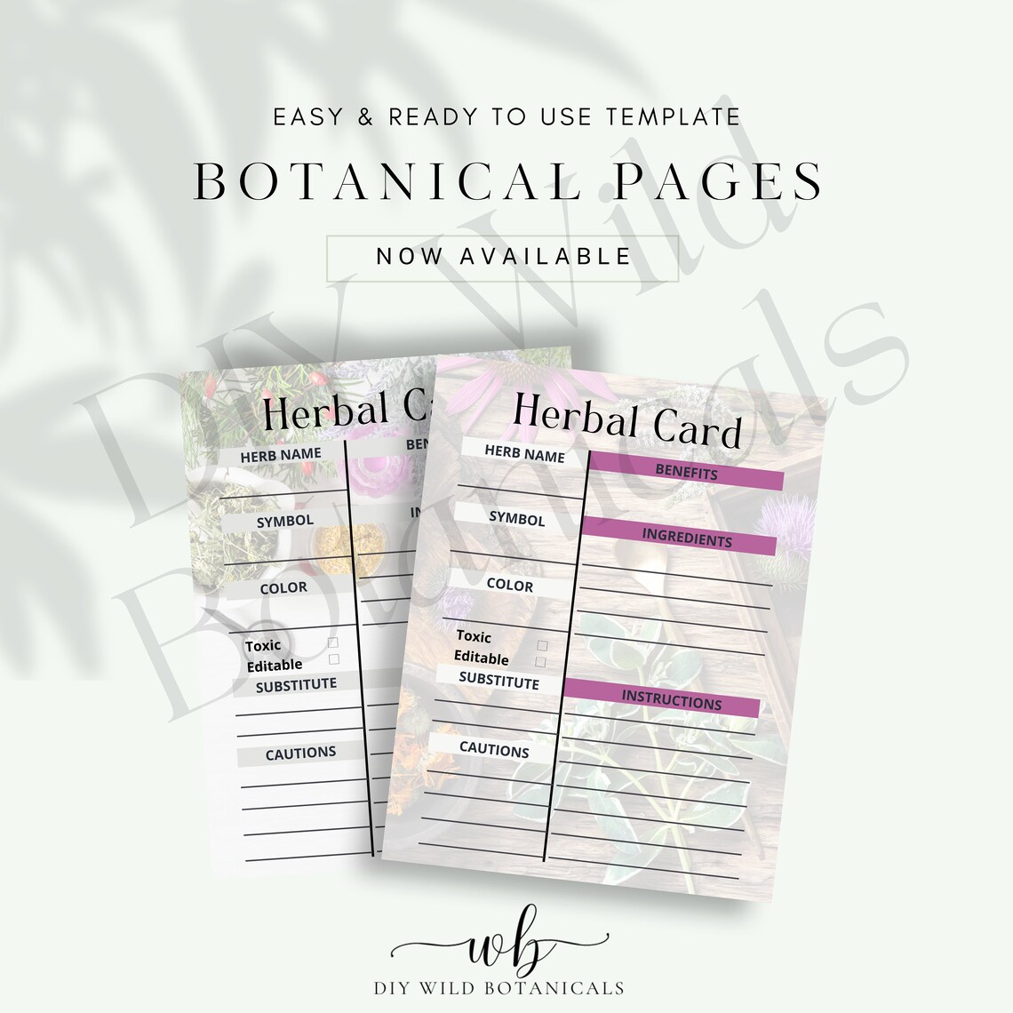 Printable Herb Forms, Herbal Worksheets, Herbal Home Apothecary Planner ...