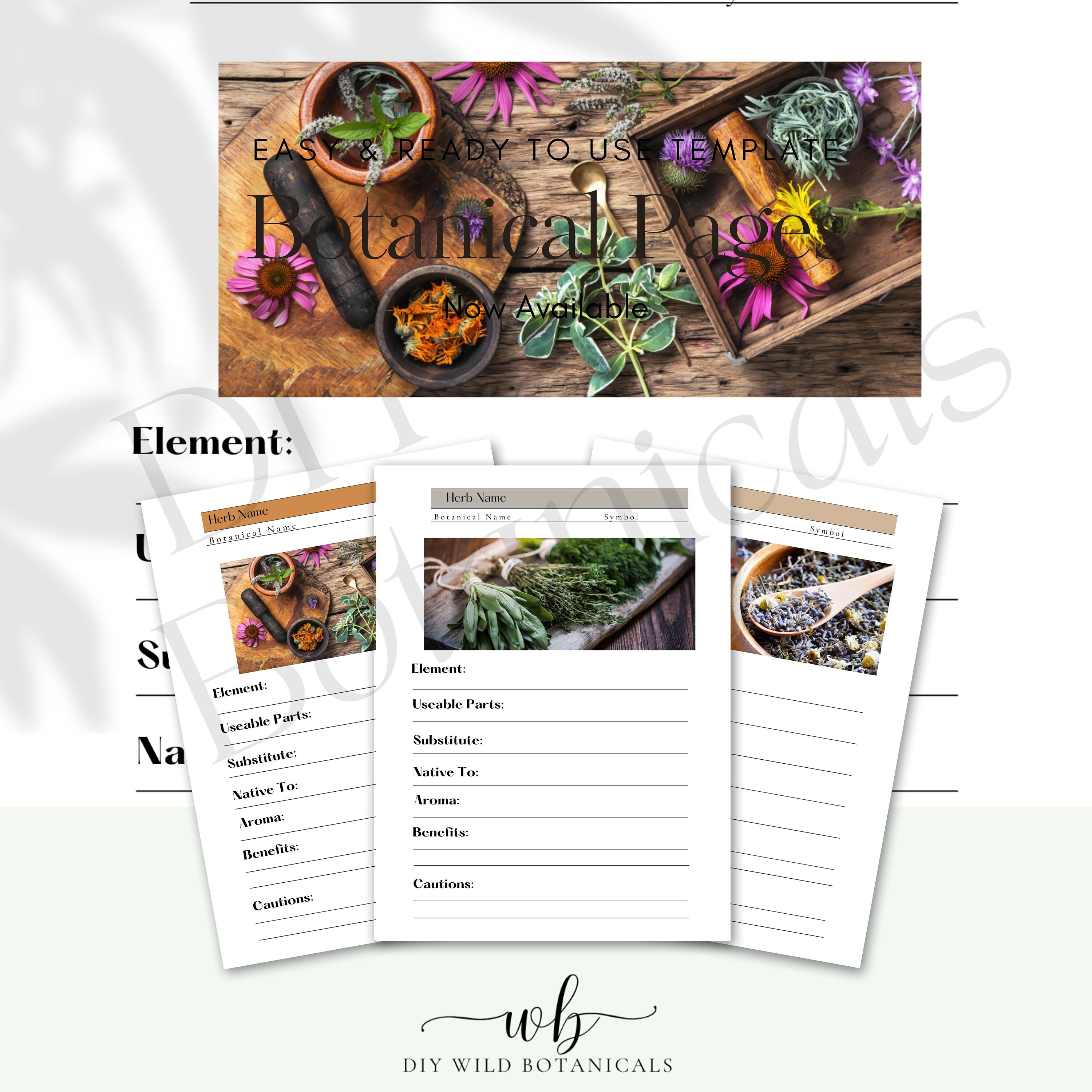 Printable Herb Forms, Herbal Worksheets, Herbal Home Apothecary Planner ...