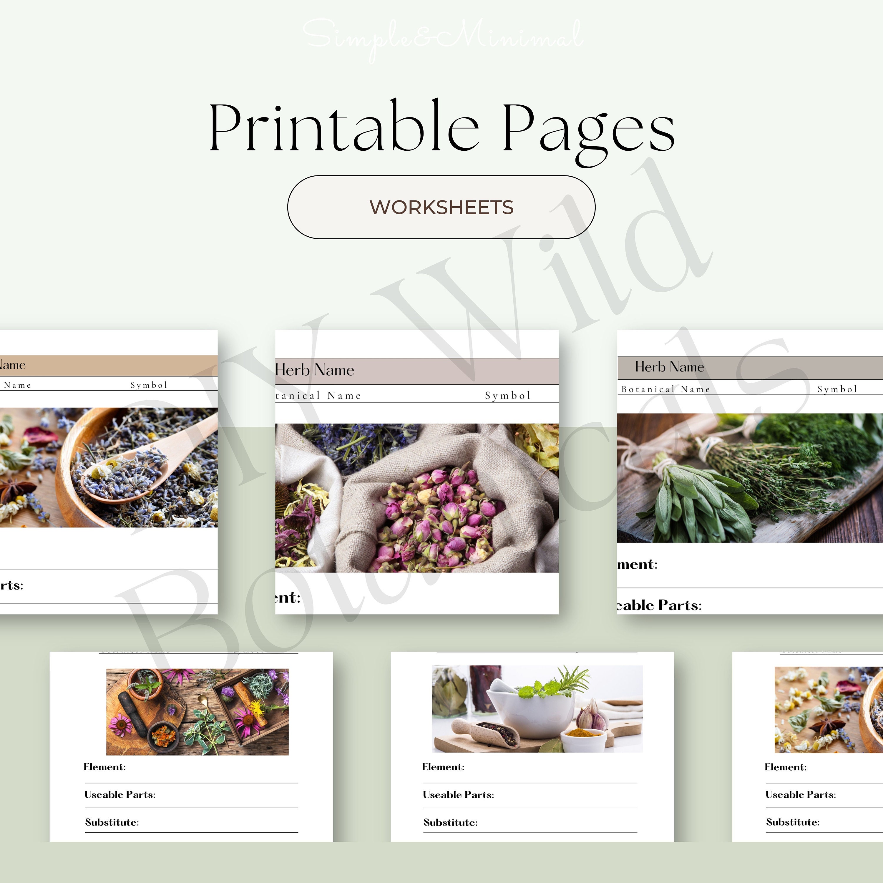 Printable Herb Forms, Herbal Worksheets, Herbal Home Apothecary Planner ...