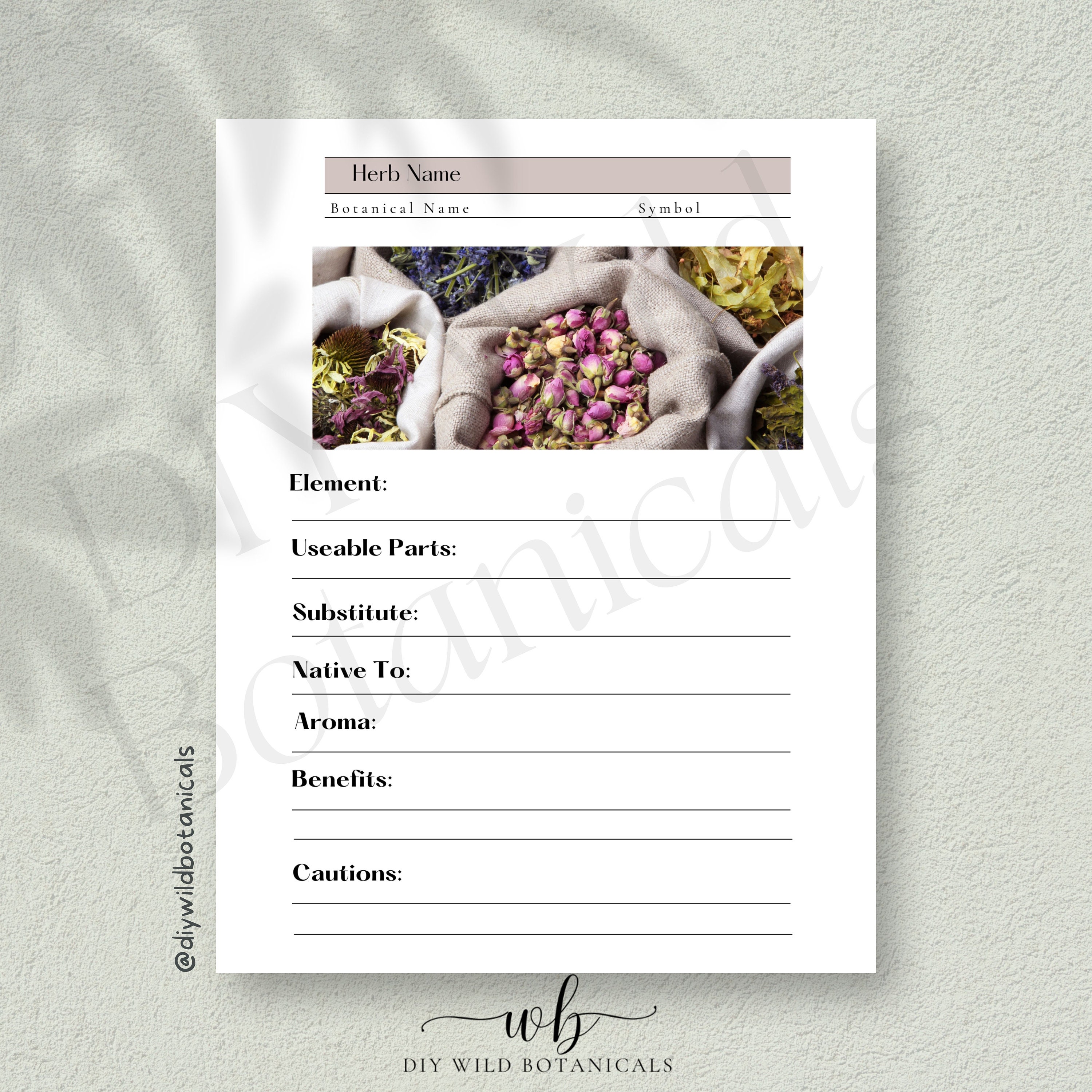 Printable Herb Forms, Herbal Worksheets, Herbal Home Apothecary Planner ...