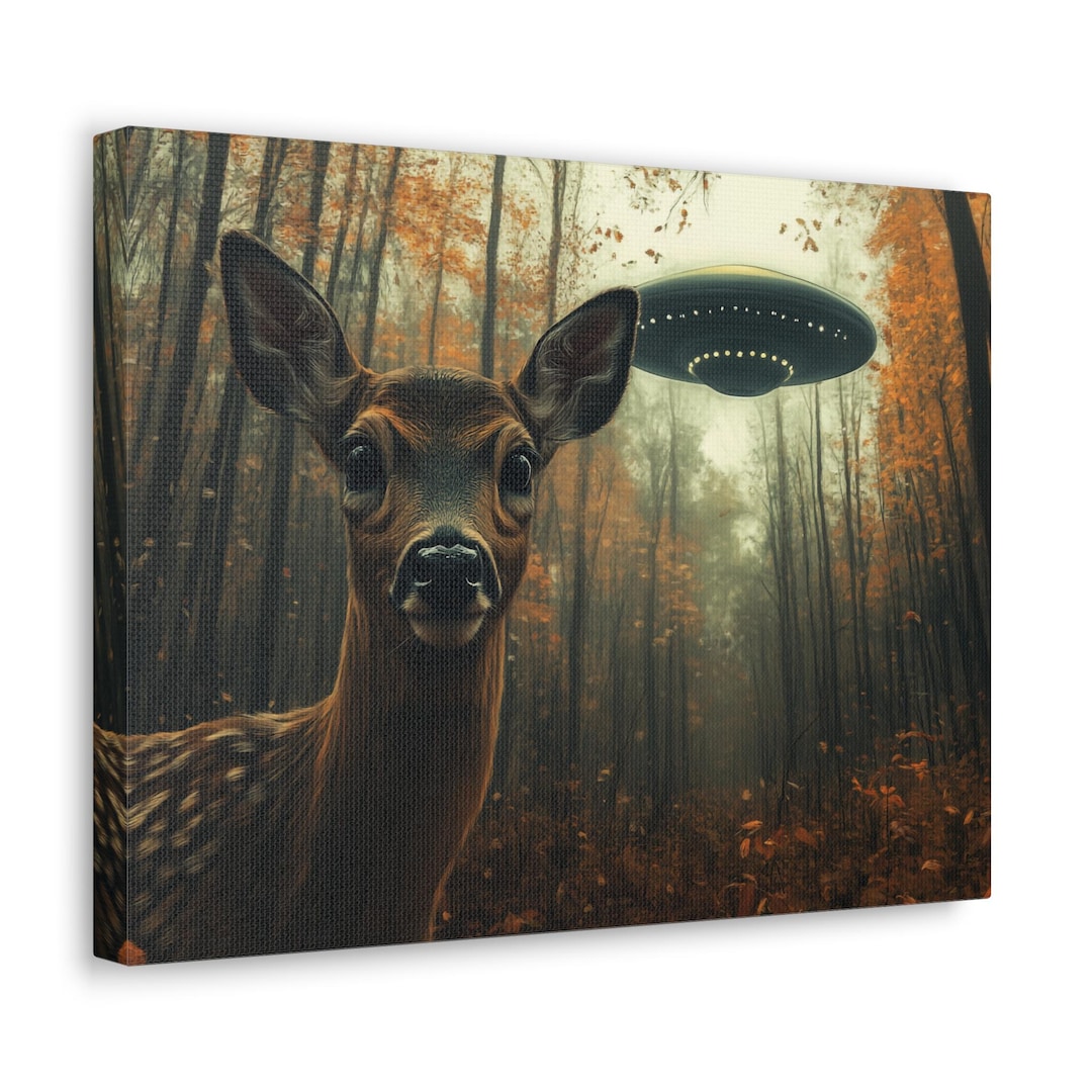Canvas Gallery Wraps, Cute Deer and UFO Adventure, Woodland Wall Art ...
