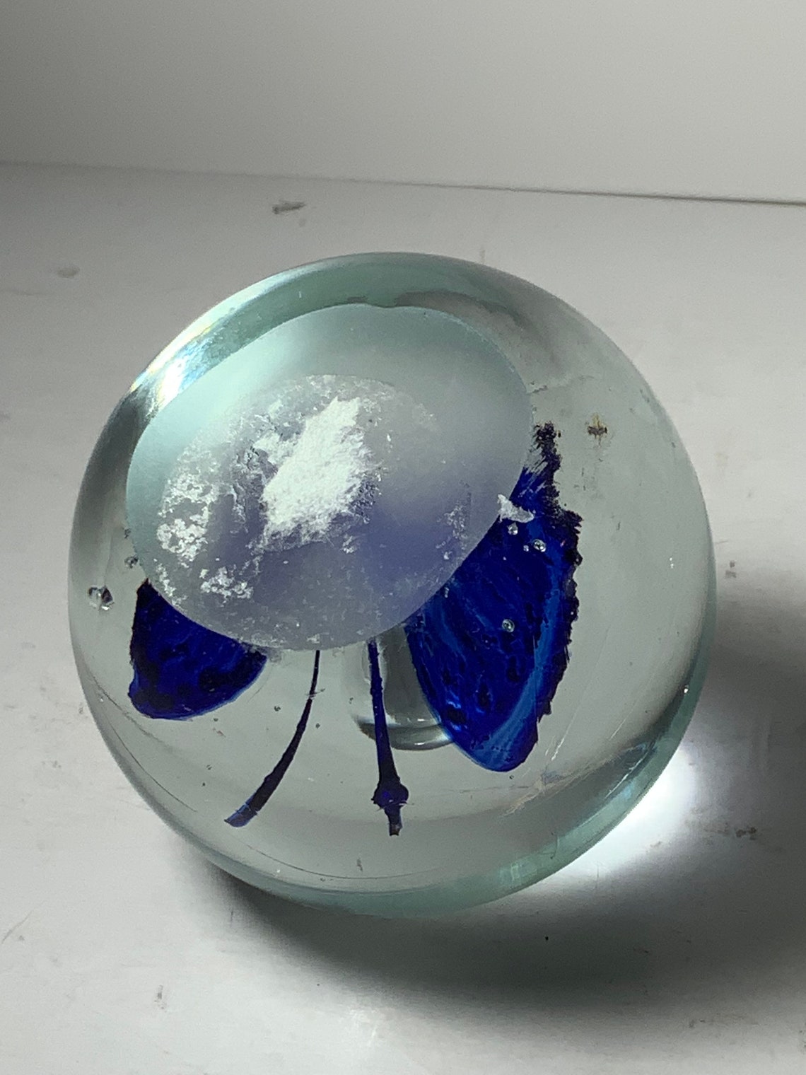 Blue Butterfly Clear Glass Paperweight 2.5 In. - Etsy