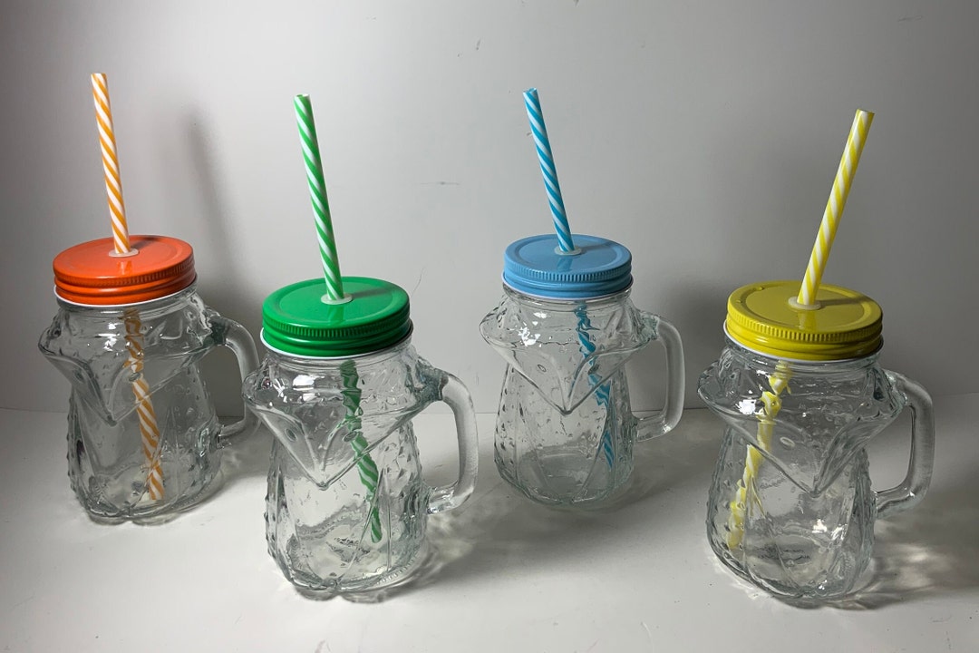 Set of 4 Glass Fox Mason Jar Mugs With Matching Lids & Straws 5.5 In ...