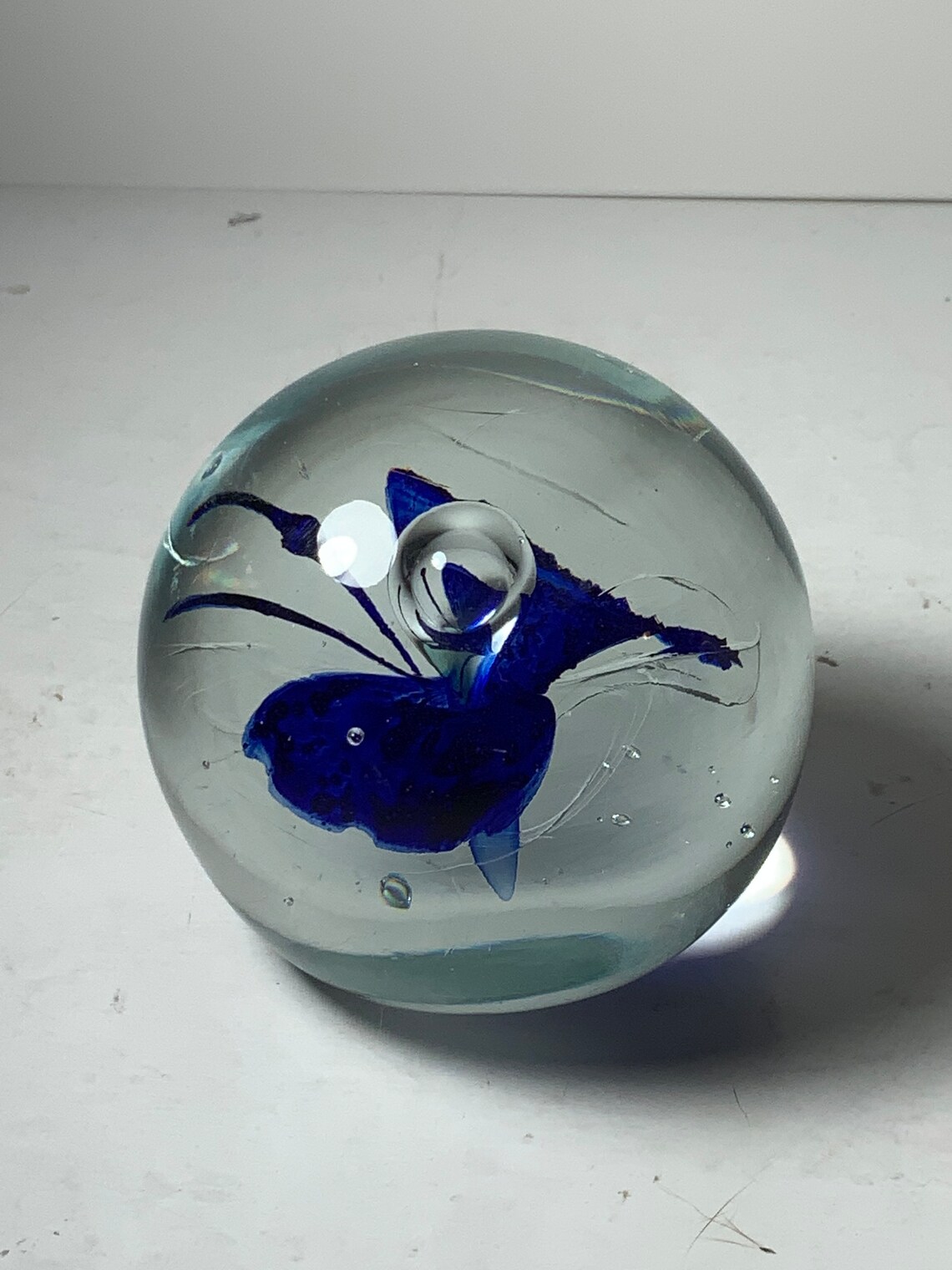 Blue Butterfly Clear Glass Paperweight 2.5 In. - Etsy
