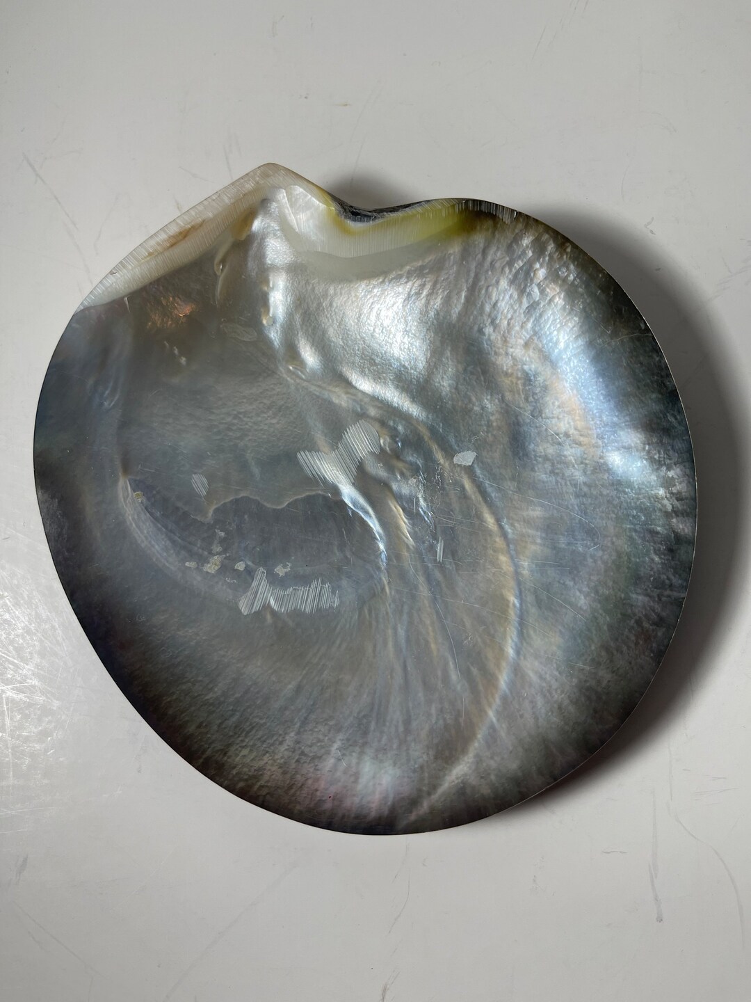 Vintage Mother of Pearl Caviar Shell Serving Dish 5.5 In. - Etsy