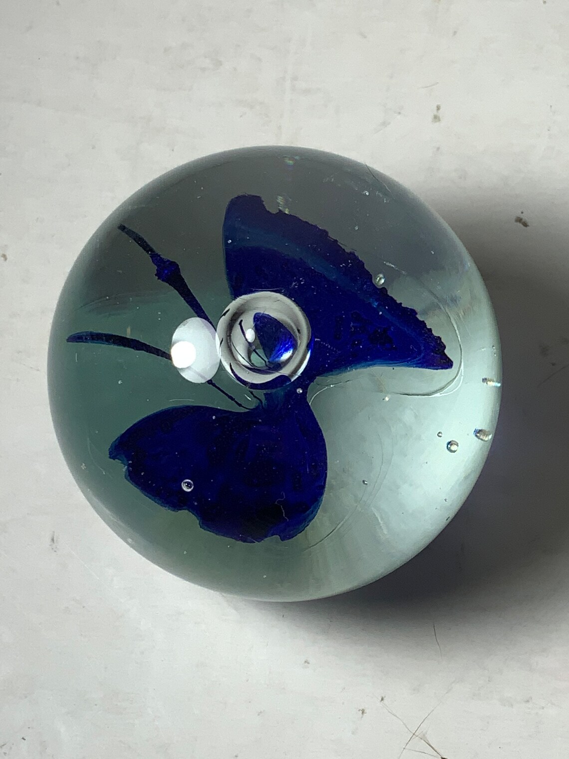 Blue Butterfly Clear Glass Paperweight 2.5 In. - Etsy