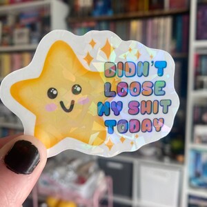 Holographic Gold Star Stickers Funny Stickers Snarky Stickers Adult ...