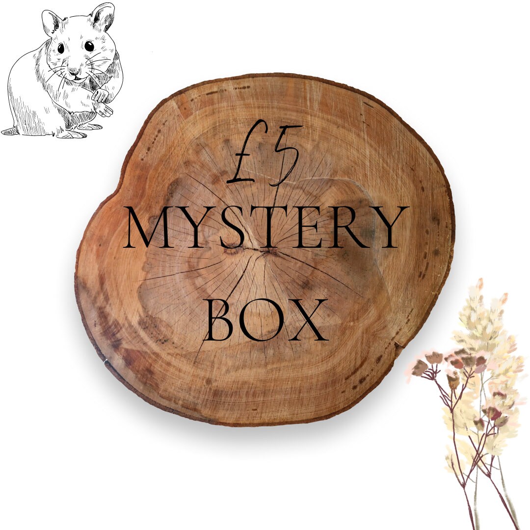 5 Pounds Mystery Box for Hamsters and Other Small Animals - Etsy
