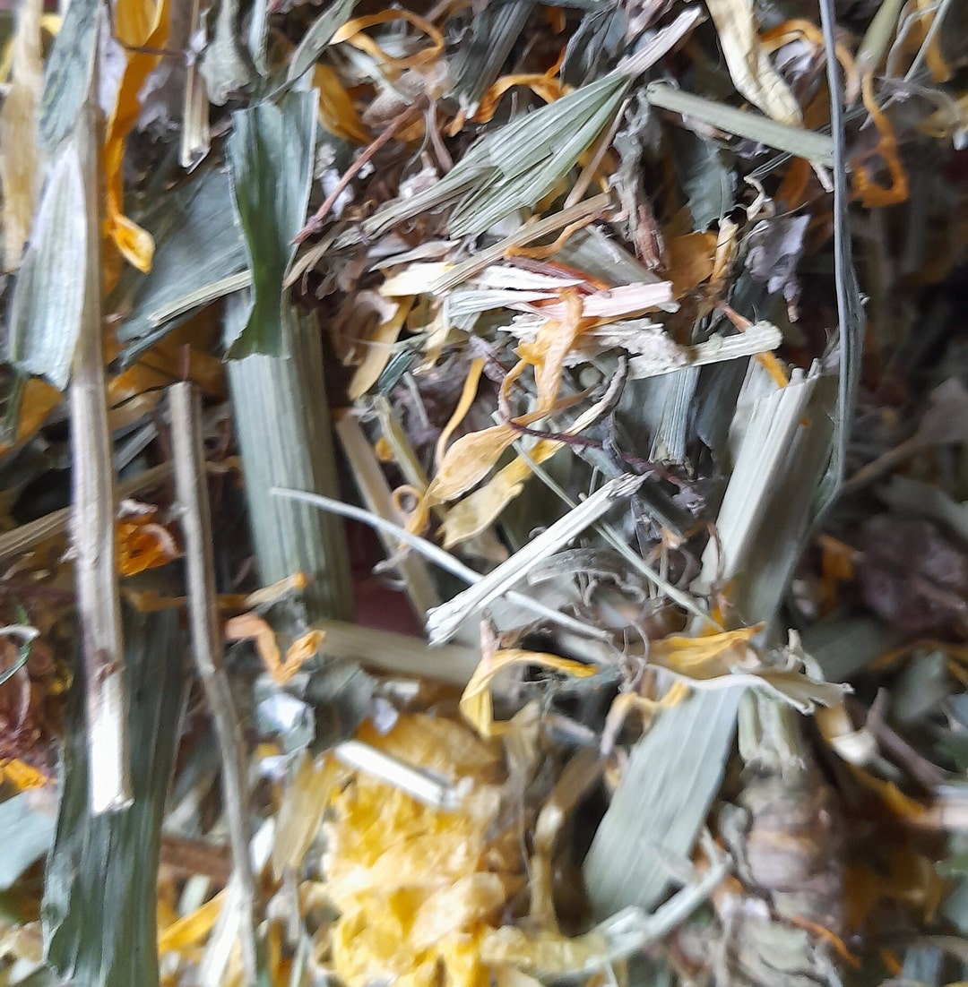 Marigold Forage sample Packs for Small Animals for Enrichment and ...